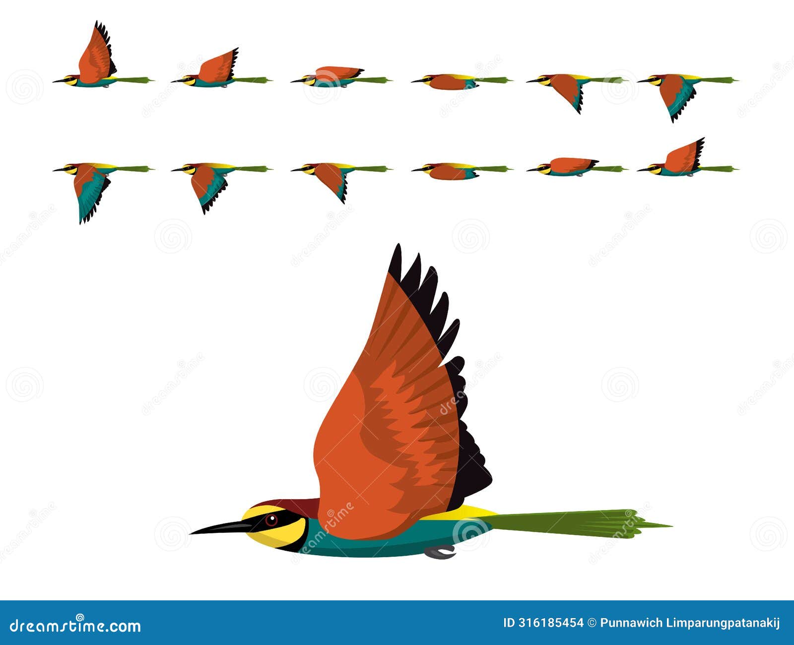 Bird European Bee-Eater Flying Animation Sequence Cartoon Vector Stock ...