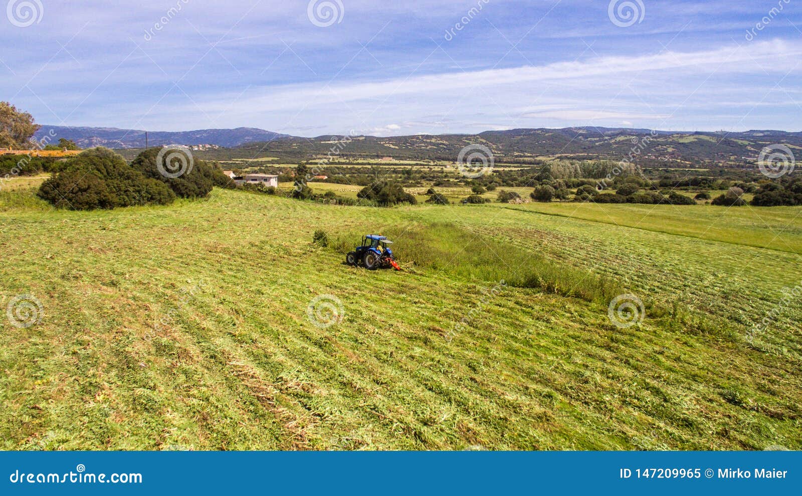 Bird Eye of Tractor Mower in Operation that Cuts the Grass in the Field ...