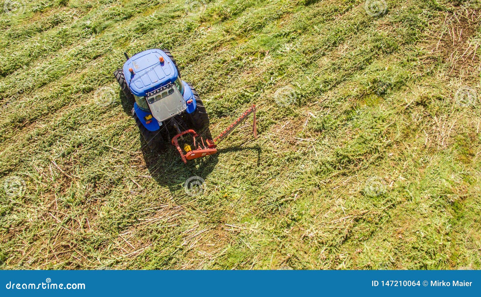 Bird Eye of Tractor Mower in Operation that Cuts the Grass in the Field ...