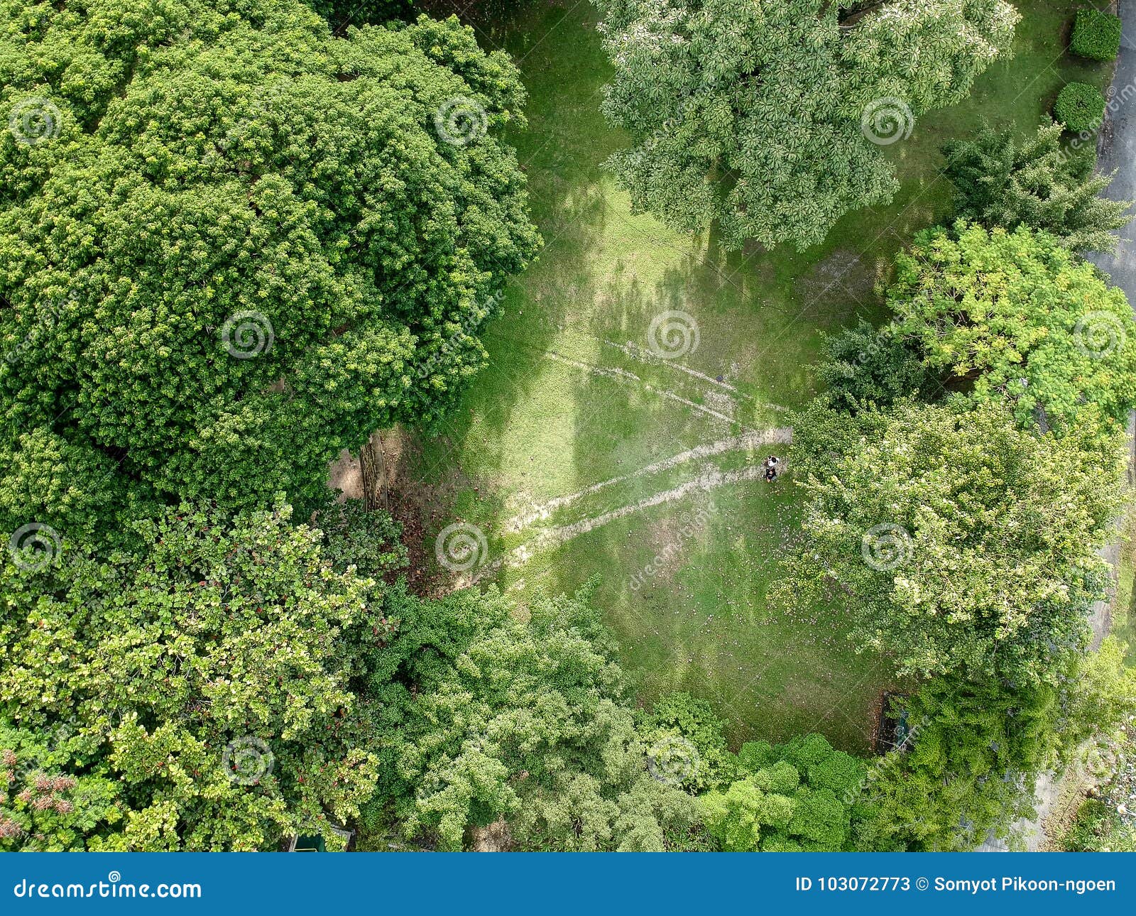 Bird Eye View Park at Thailand Stock Image - Image of environment ...