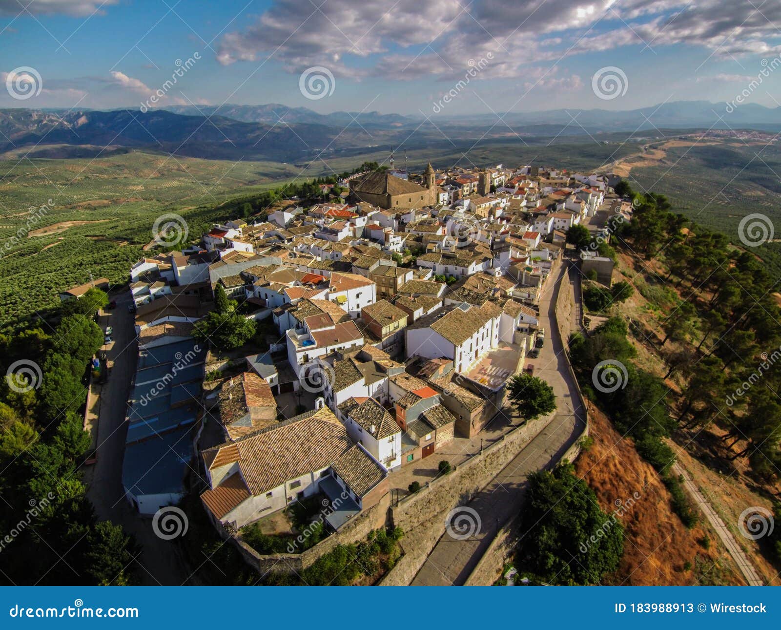 Bird-eye View of a Town Surrounded with Trees and Green Fields Stock ...