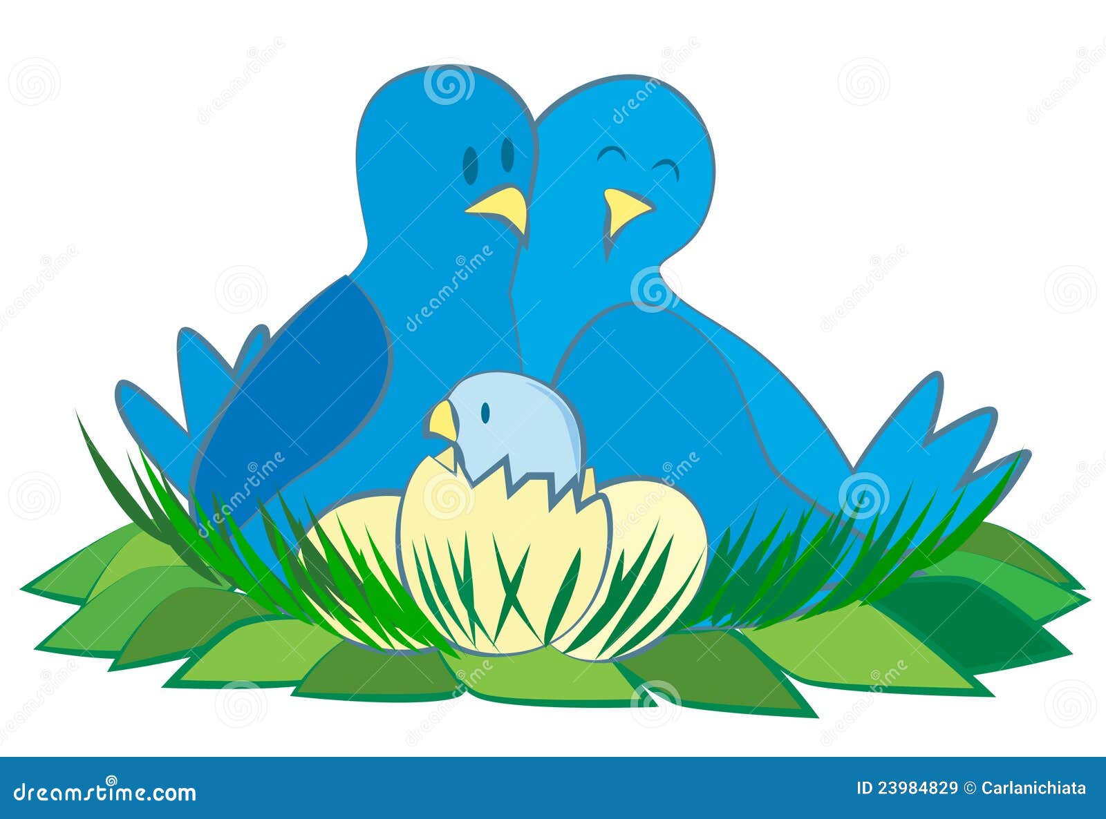 Bird family stock vector. Illustration of grass, animal - 23984829