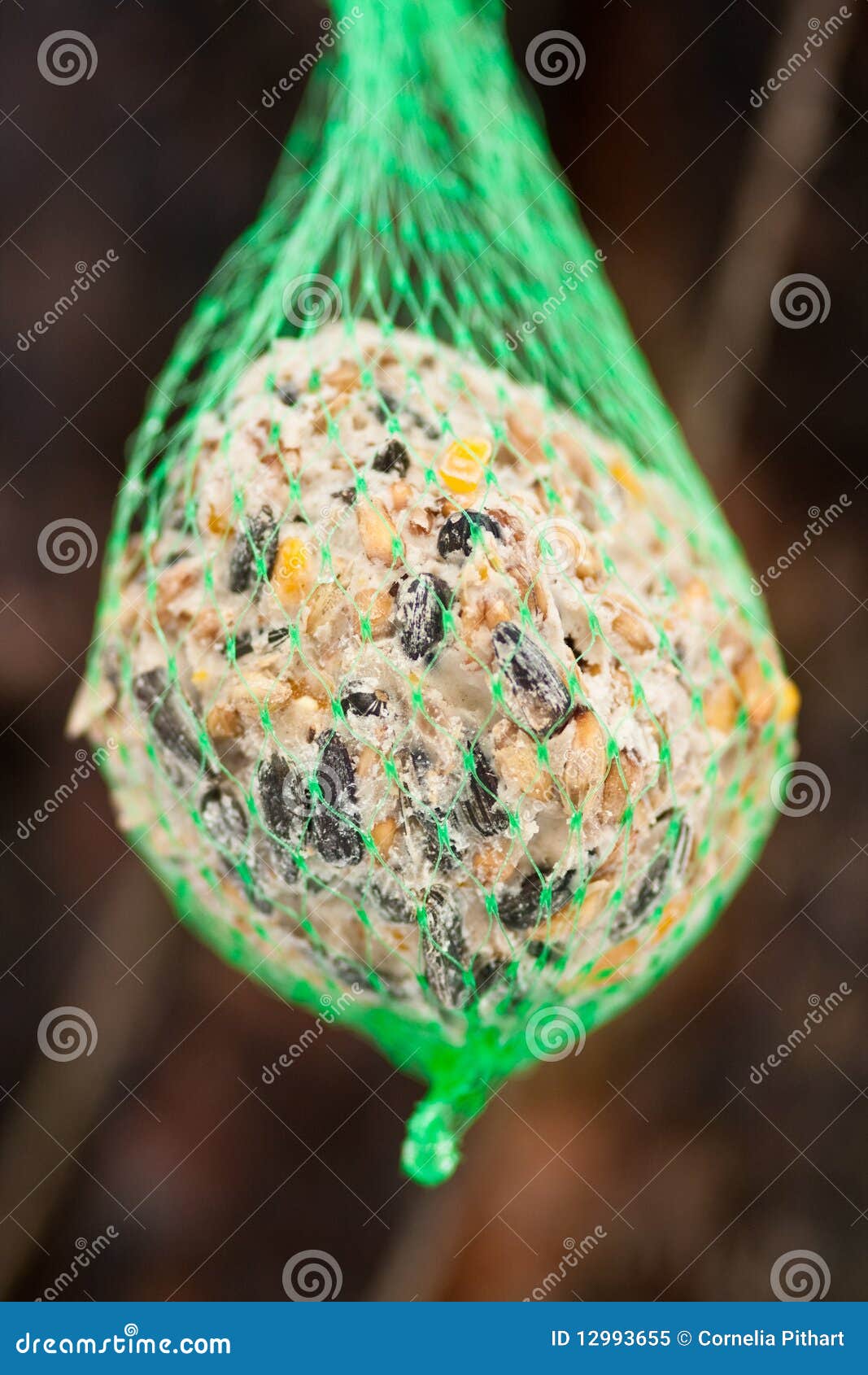 Bird fat ball stock image. Image of vertical, balls, wild - 12993655