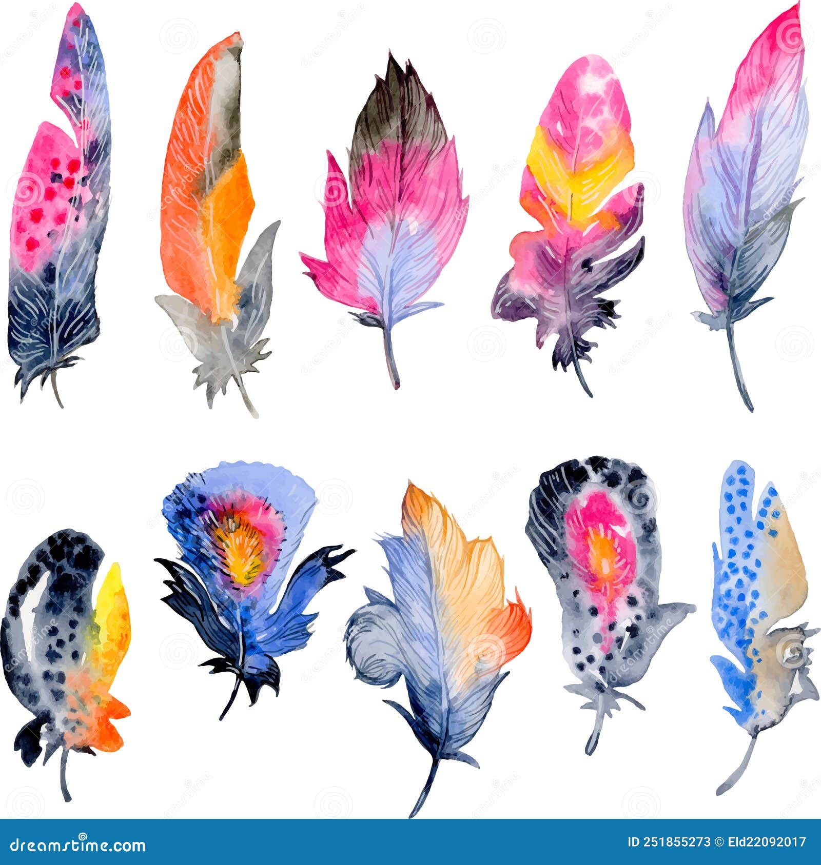 Bird Feather Element Set. Hand Drawn Watercolor Illustration Stock ...