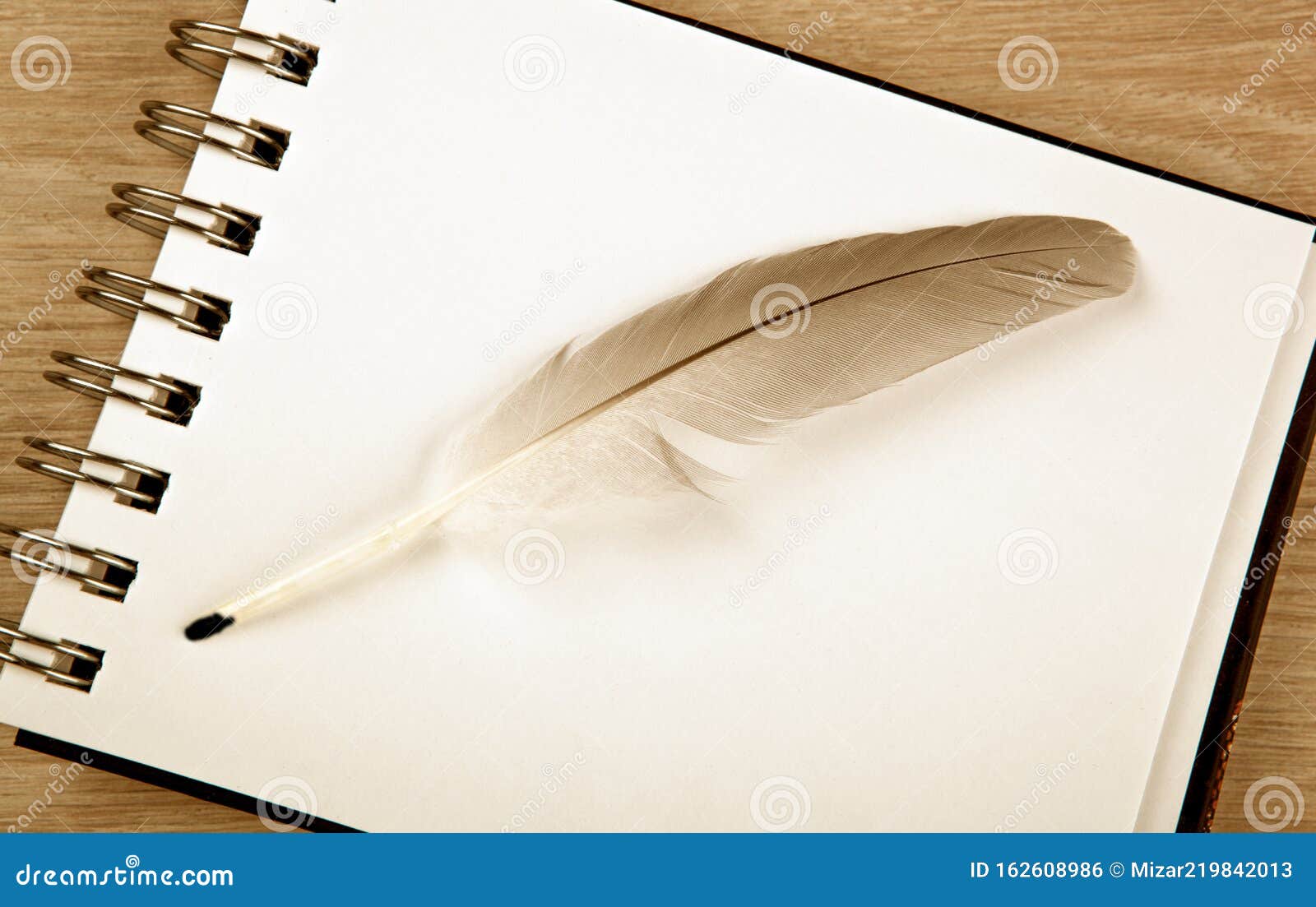 Bird Feather in the Form of a Pen on a White Notebook Stock Photo ...