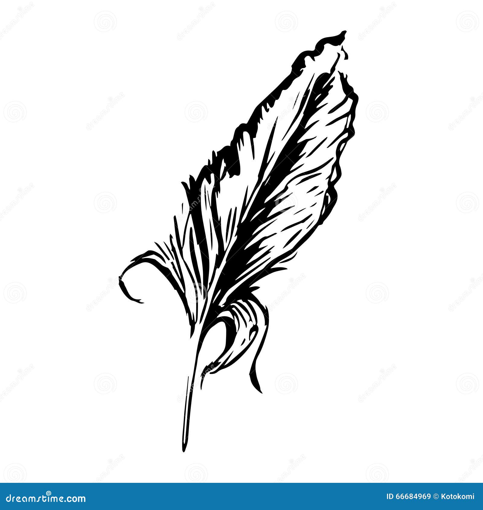Bird Feather, Symbol of Knowledge, Writing and Learning. Vector Black ...