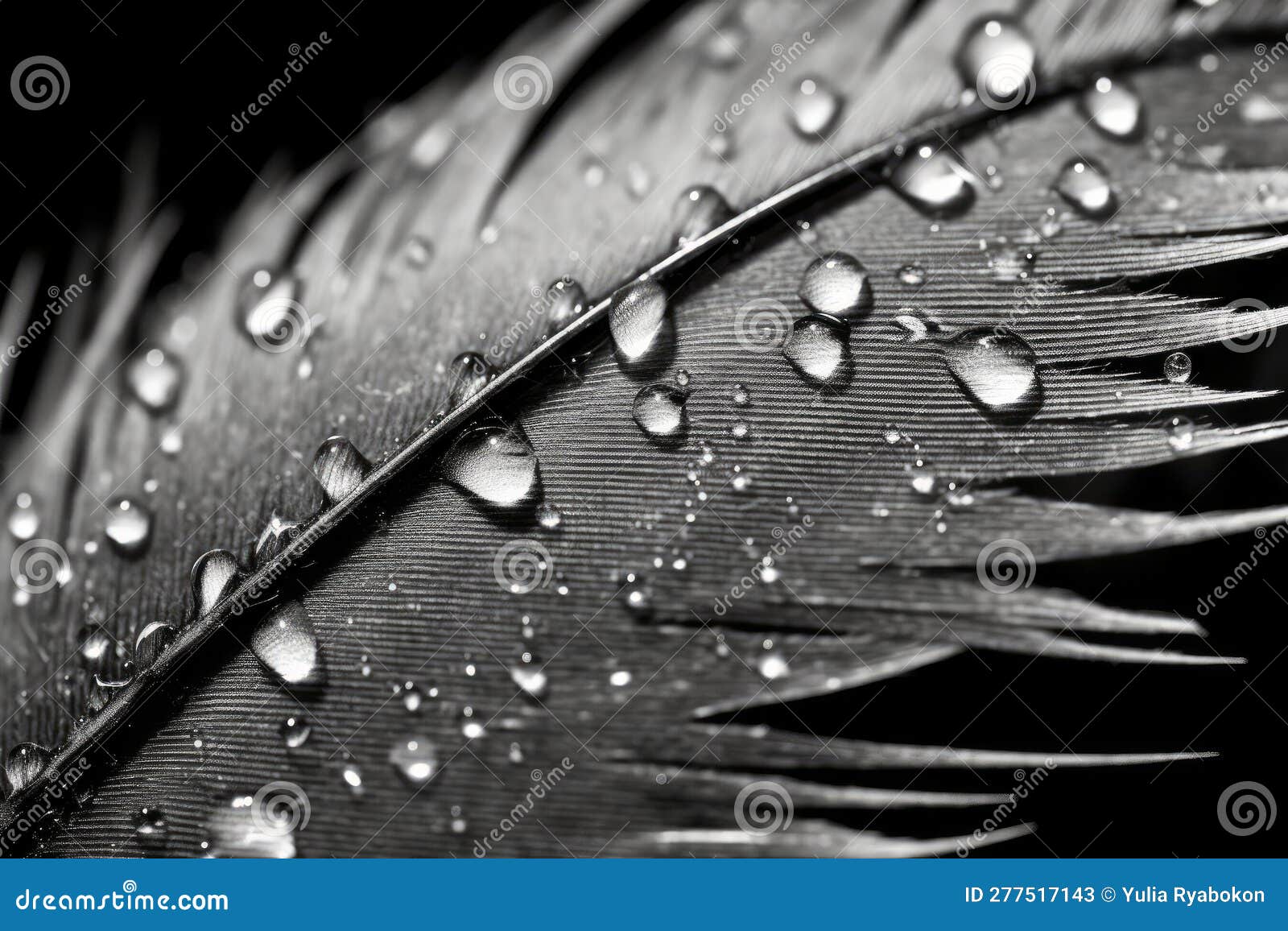 Bird Feather Water Drop. Generate Ai Stock Illustration - Illustration ...