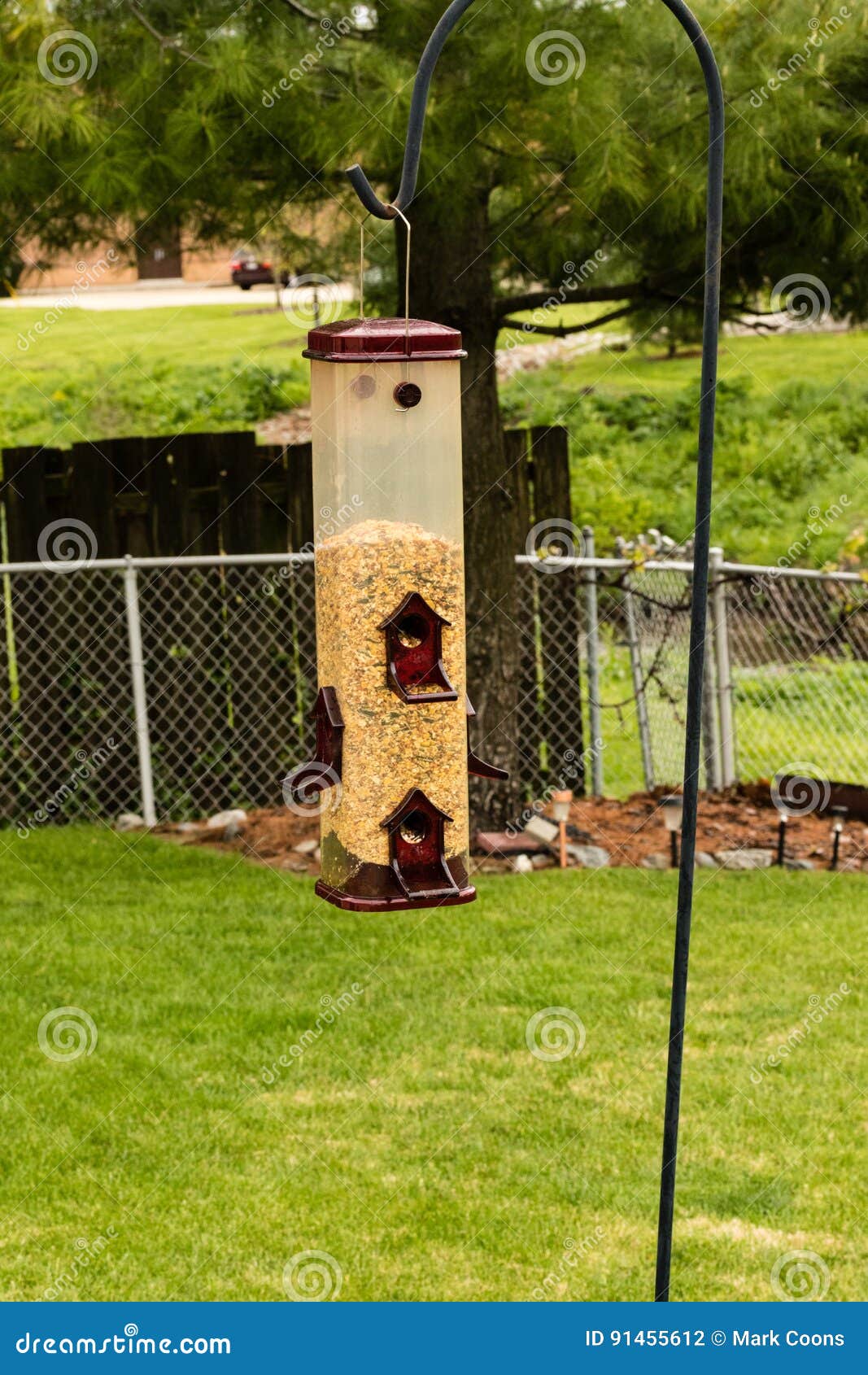 Bird Feeder on a Shepherds Hook in the Yard Stock Photo - Image of ...