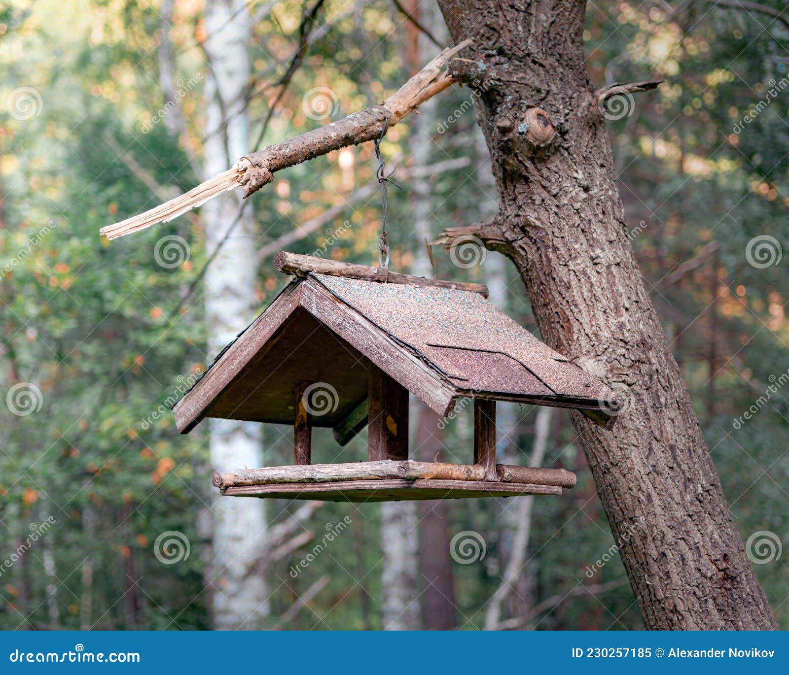 A Bird Feeder on the Tree Branch Stock Image - Image of branch, roof ...
