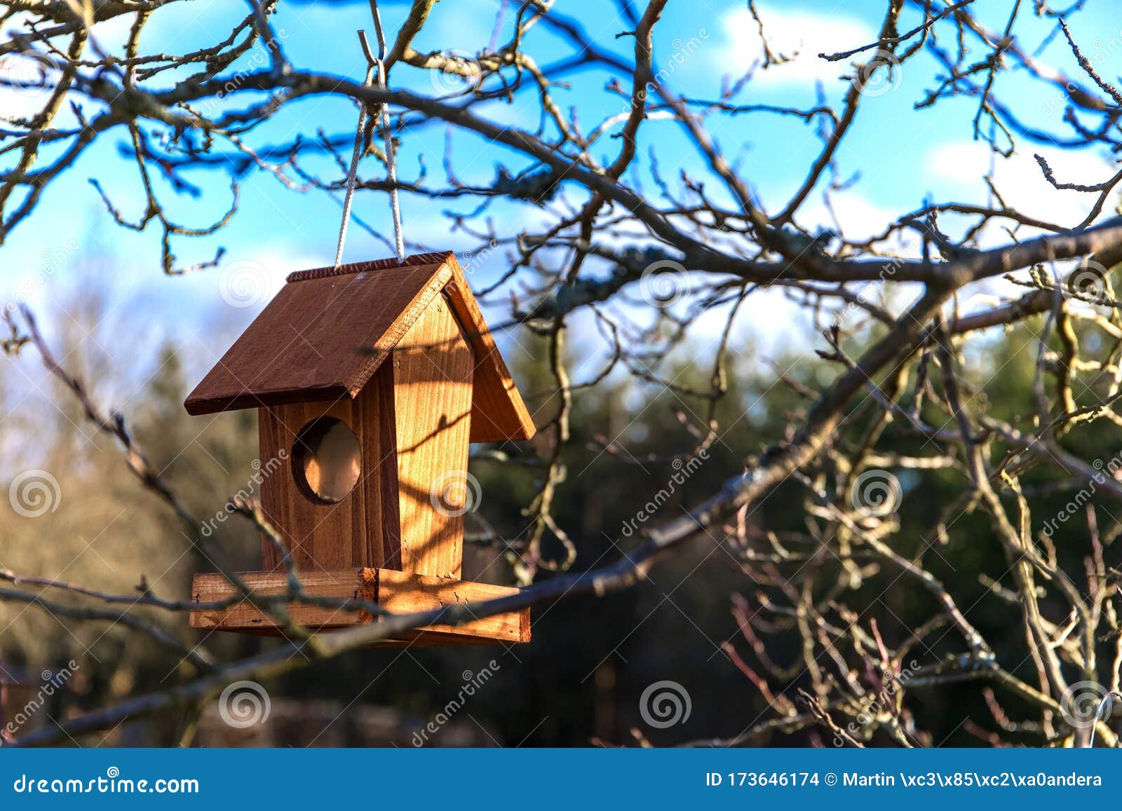 Bird Feeder on Tree in Garden. Bird Feeder Hanging on Tree Stock Photo ...