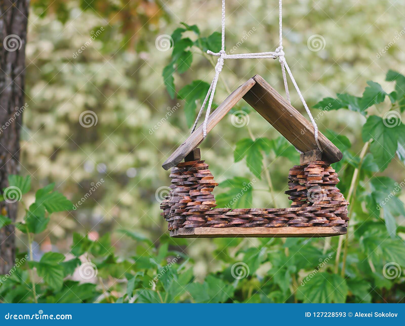Bird feeder on a tree stock image. Image of summer, bird - 127228593
