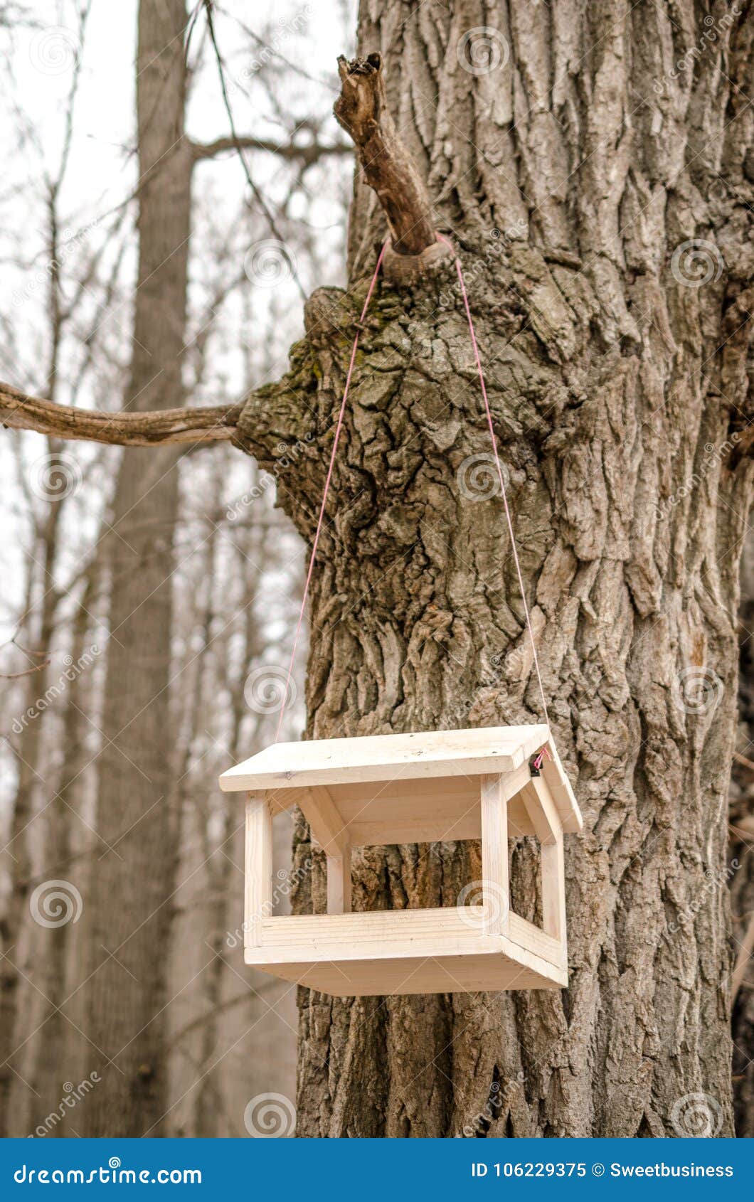 Bird Feeders. Tree House for the Birds Stock Image - Image of natural ...