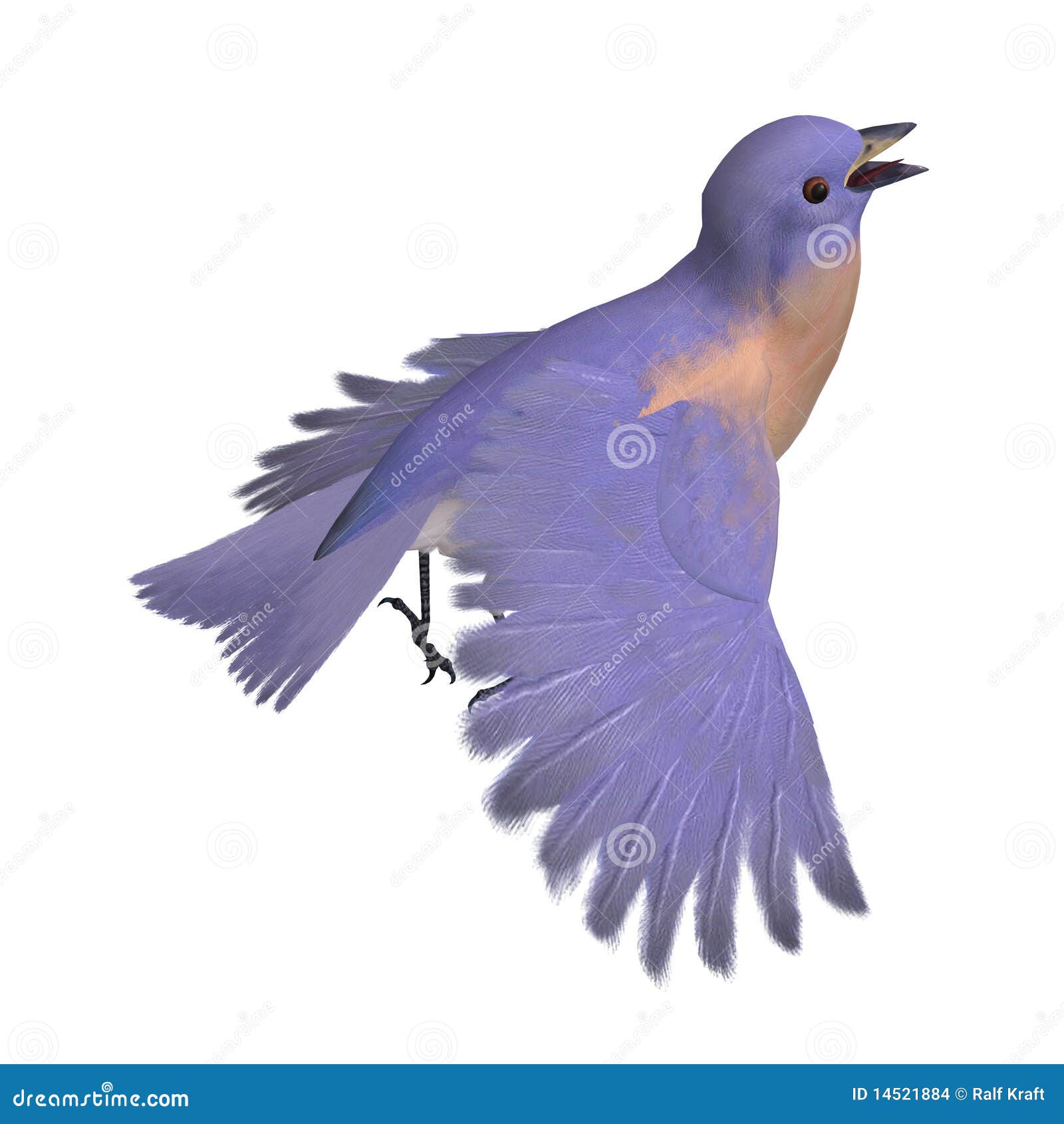 Bird With A Female Face, Graphic Color Drawing On A White Background ...