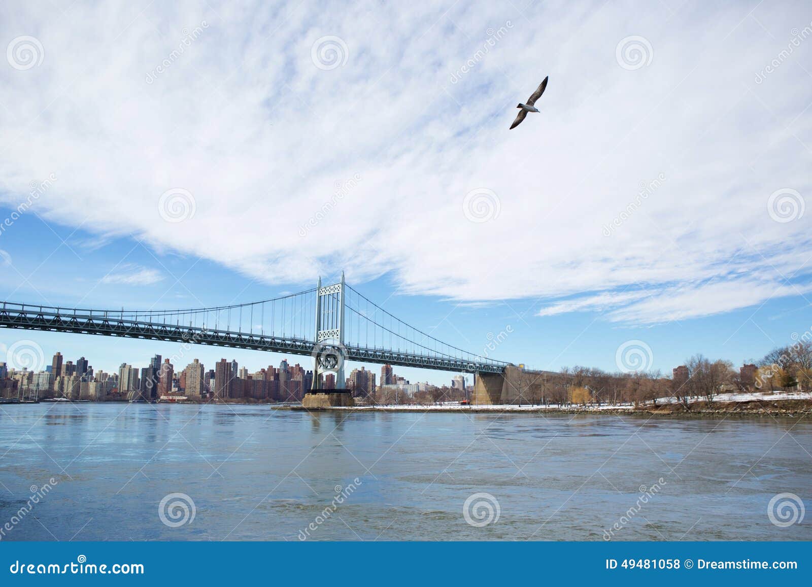 Bird Flies Over a Bridge stock photo. Image of winter - 49481058