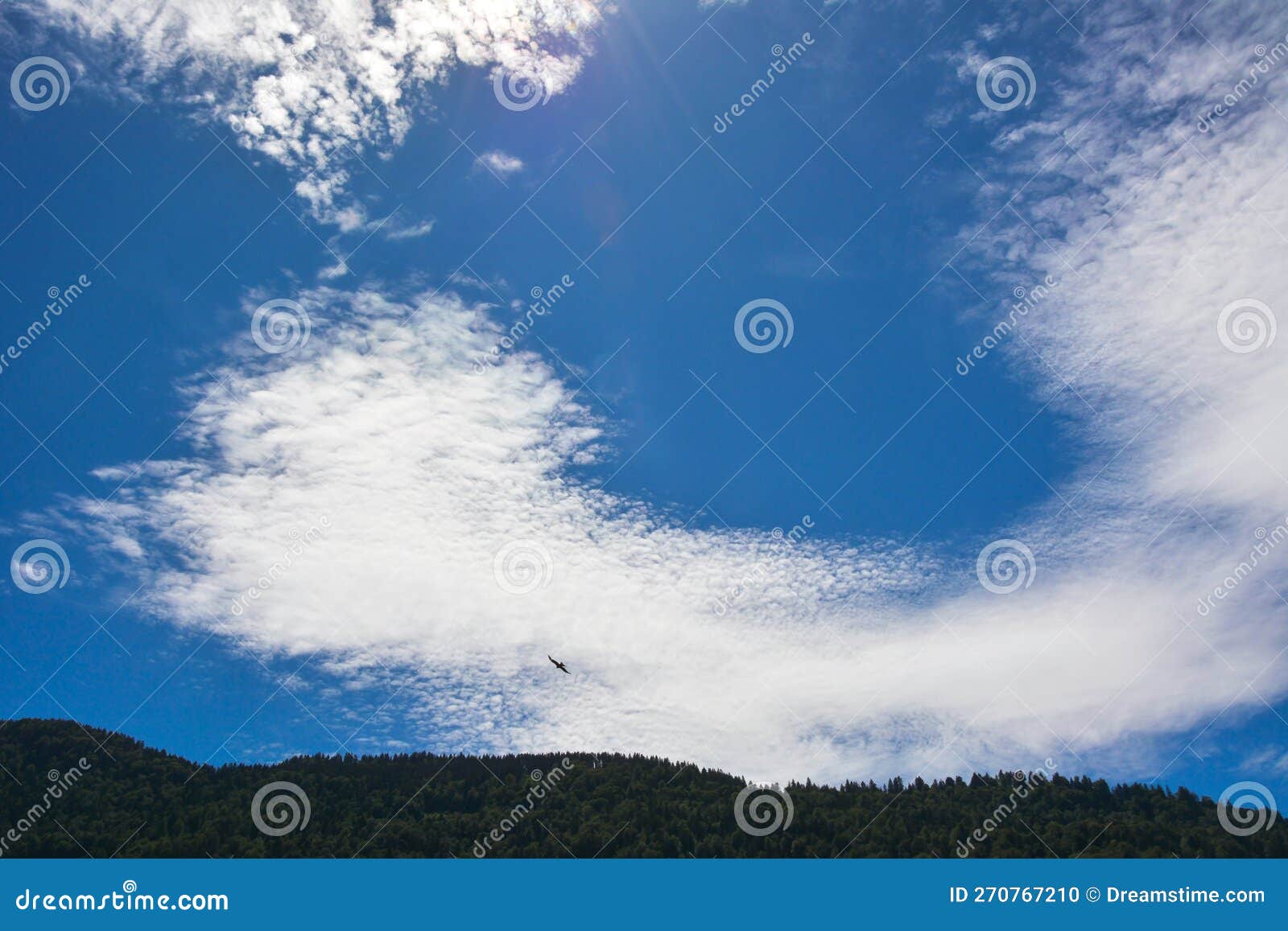 A Bird Flies Over the Trees Above the Hill in a Bright Blue Sky with ...