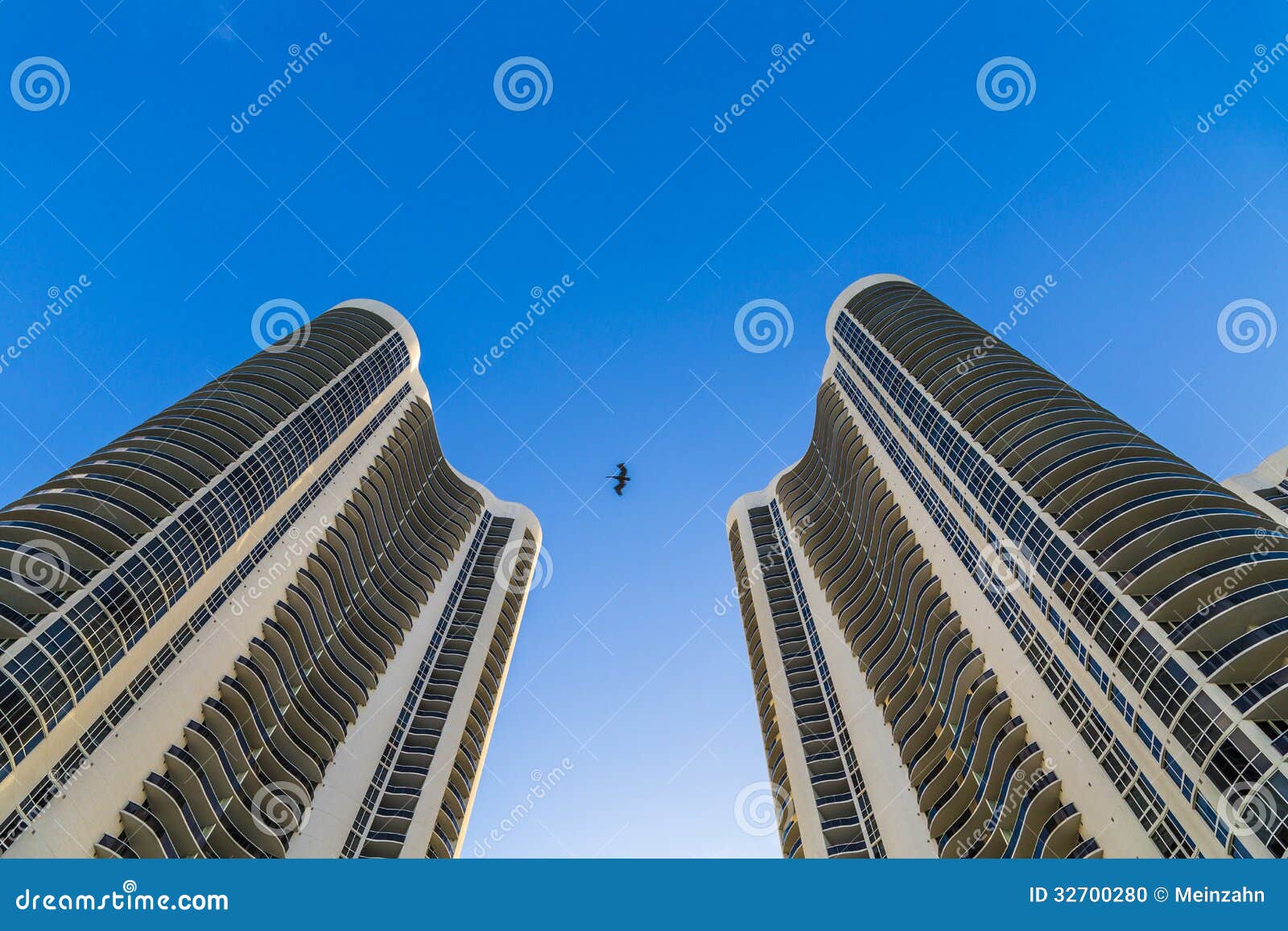 Bird Flies between Two Skyscraper Stock Photo - Image of condominium ...
