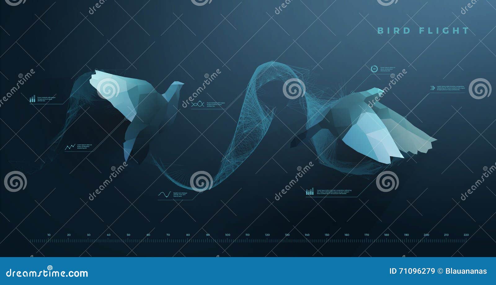 Bird In Flight, Bird Background, Airplane Background, Bird And Airplane ...