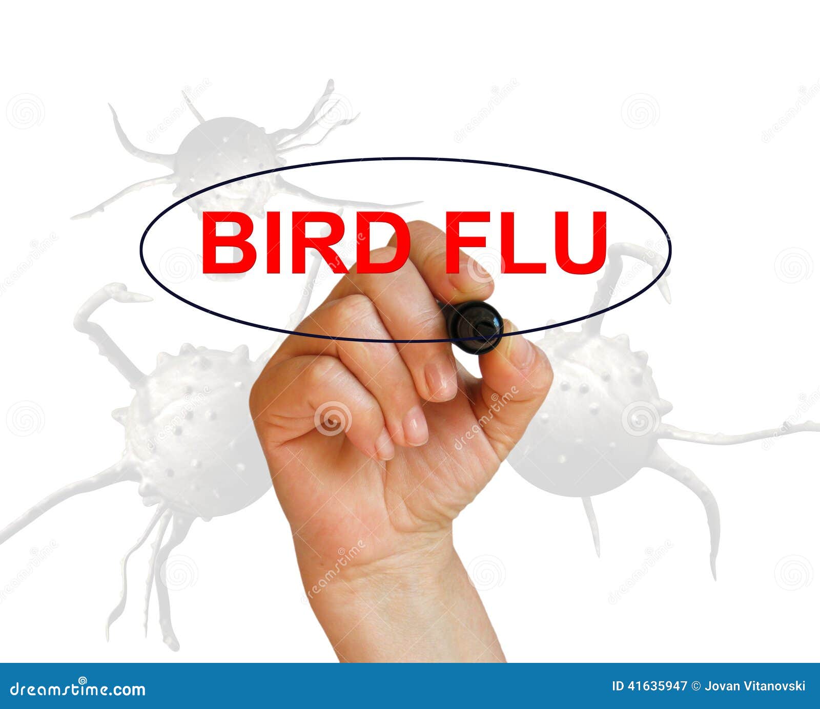 BIRD FLU stock illustration. Illustration of illness - 41635947