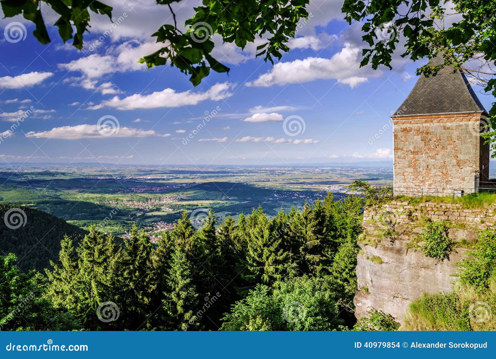 Bird-fly Alsace view stock photo. Image of farming, nature - 40979854
