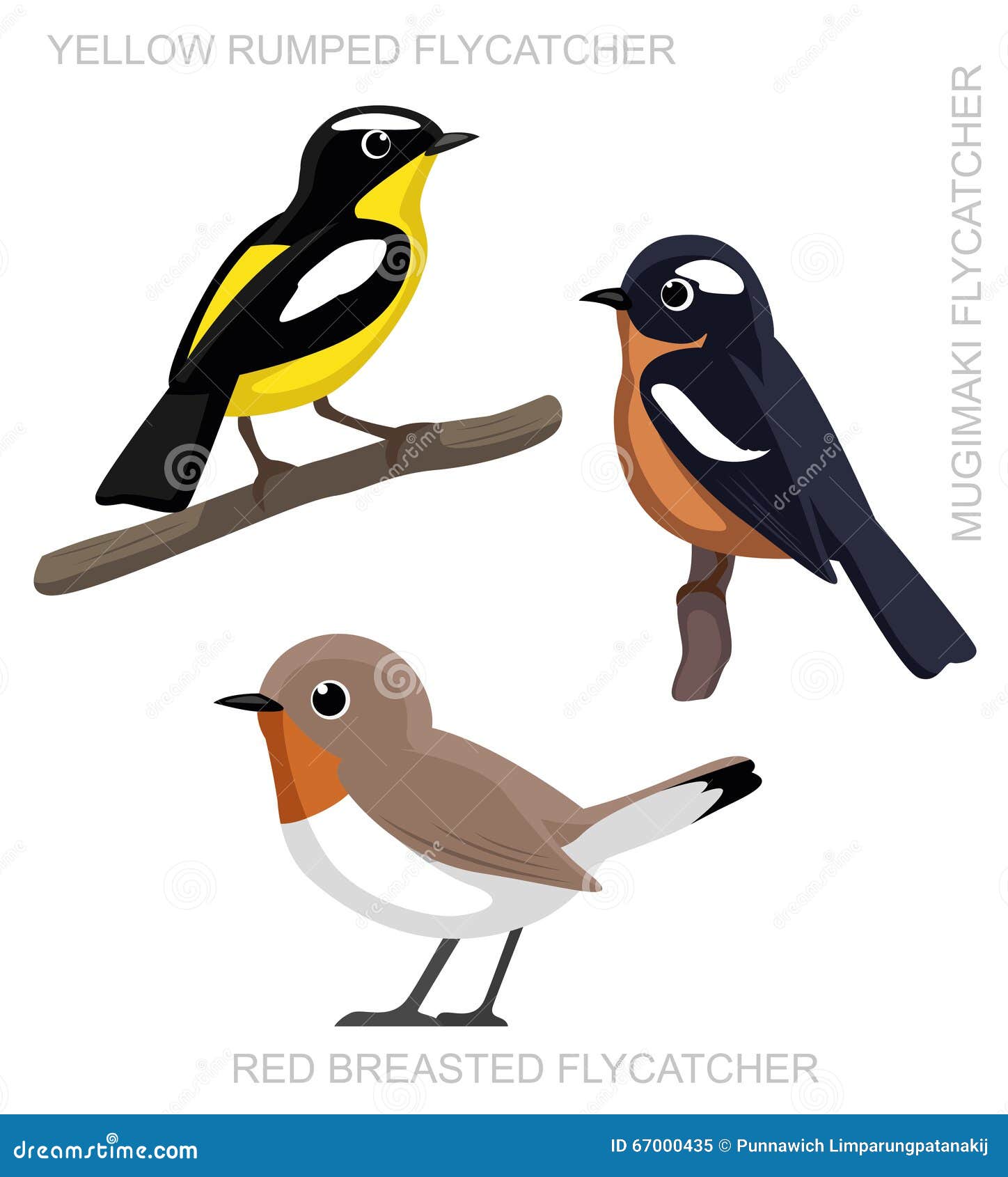 Bird Flycatcher Set Cartoon Vector Illustration Stock Vector ...