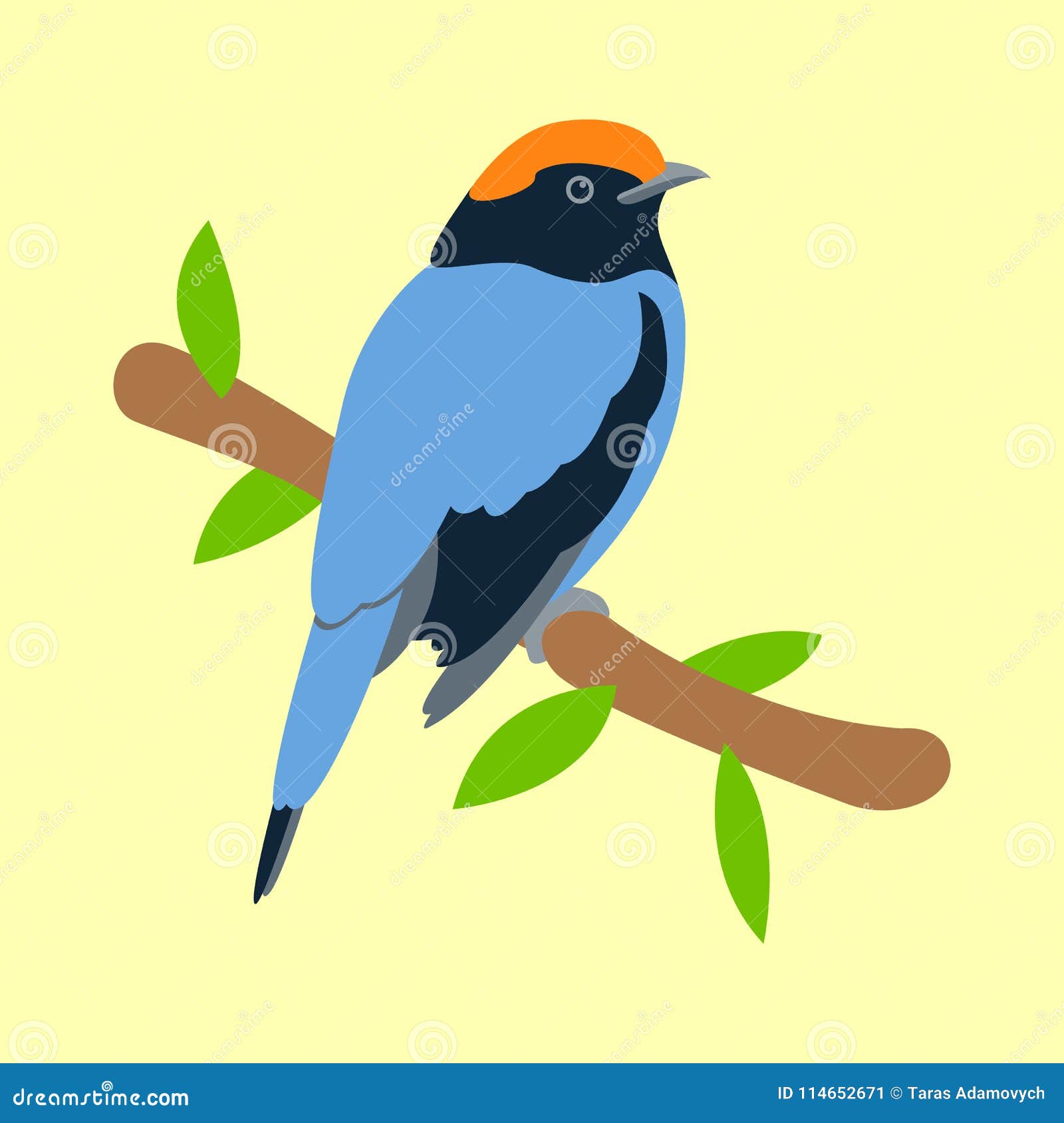 Flycatcher Vector Cartoon Illustration | CartoonDealer.com #134151663