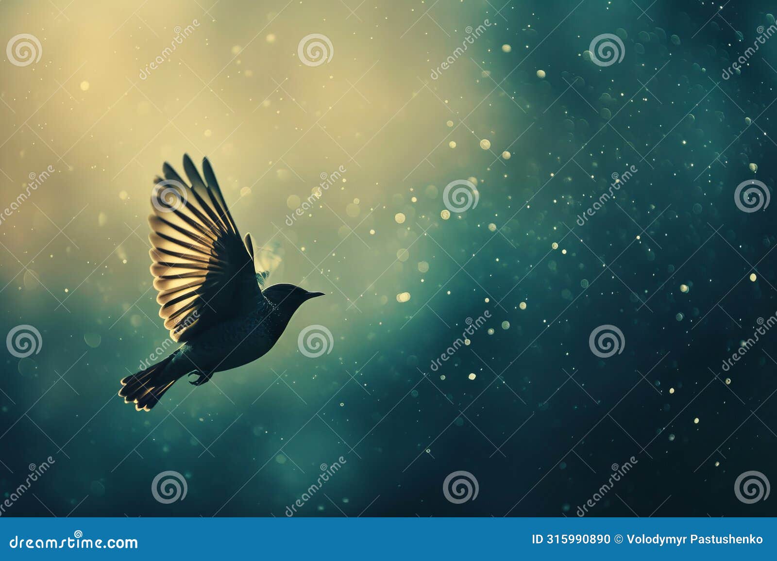 A Bird Flying through the Air with Rain Falling Stock Photo - Image of ...