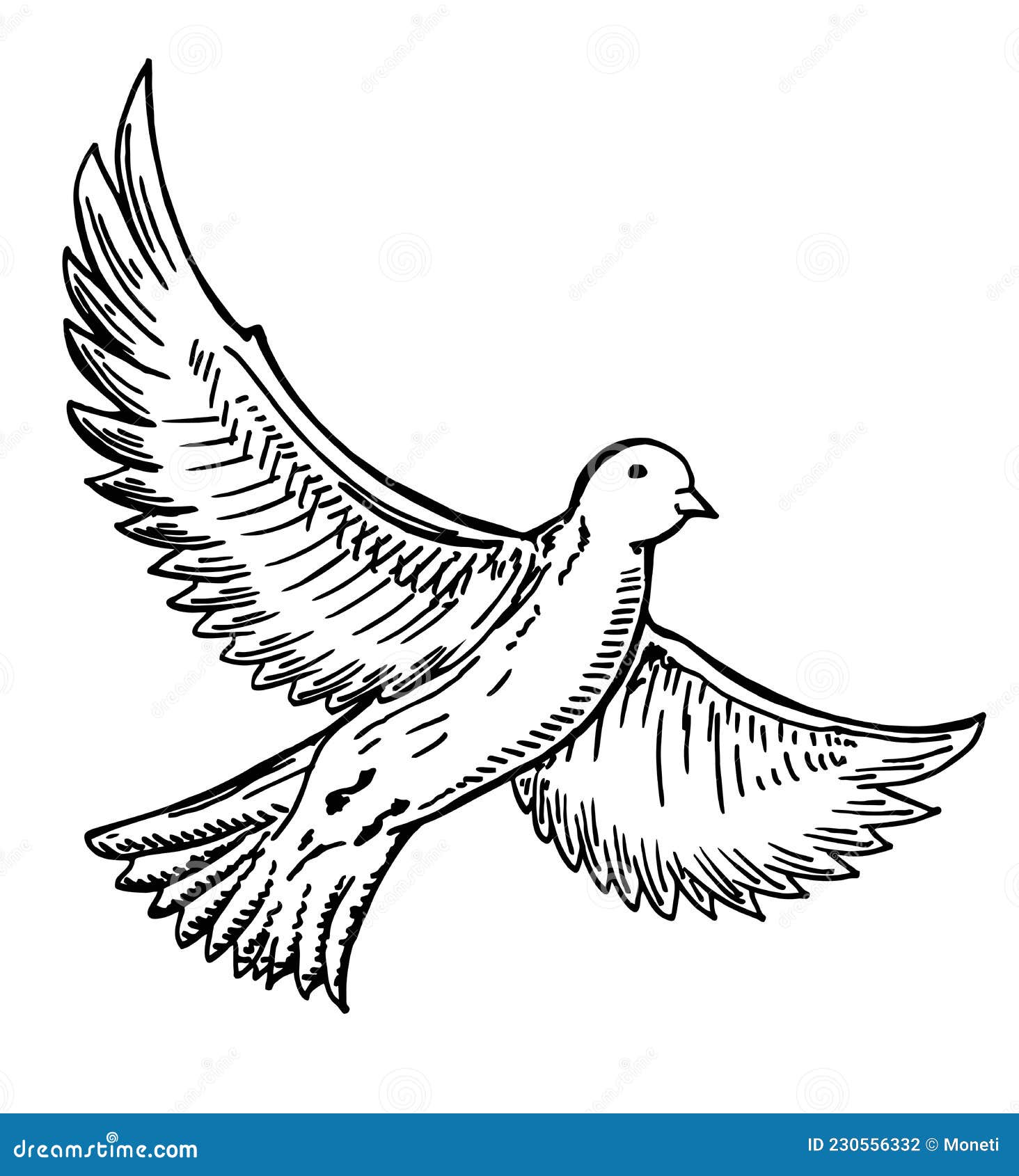 Bird Flying Hand Drawn. Ink Black And White Drawing. Sketch Vector ...