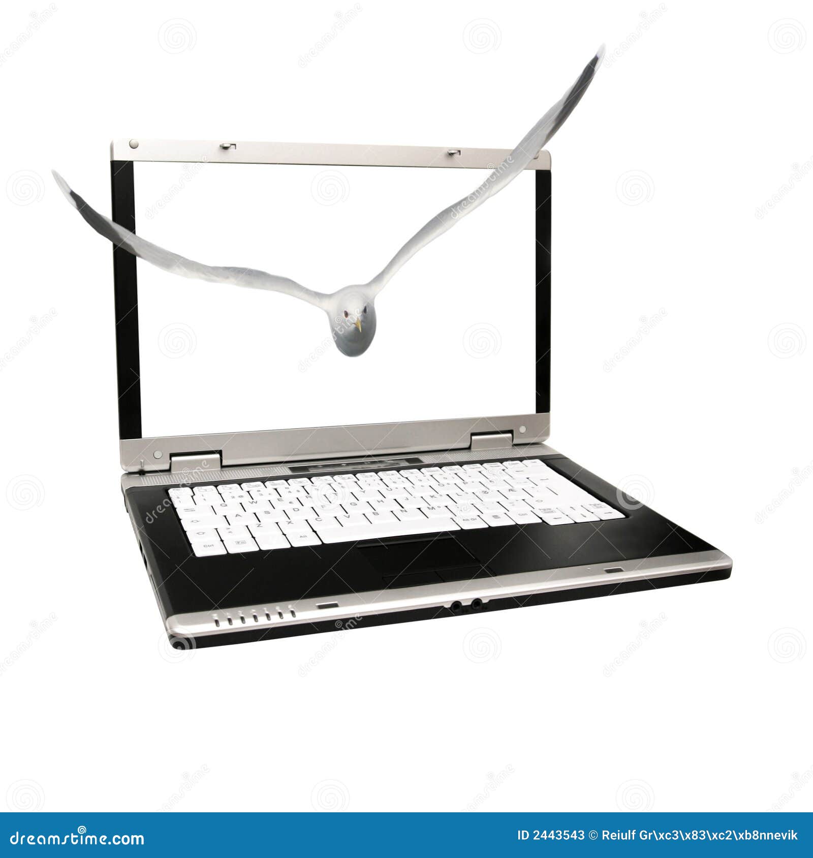 Bird Flying Out of a Laptop Stock Image - Image of colleagues, crew ...
