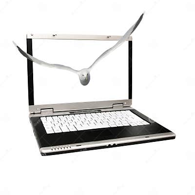 Bird Flying Out of a Laptop Stock Image - Image of colleagues, crew ...
