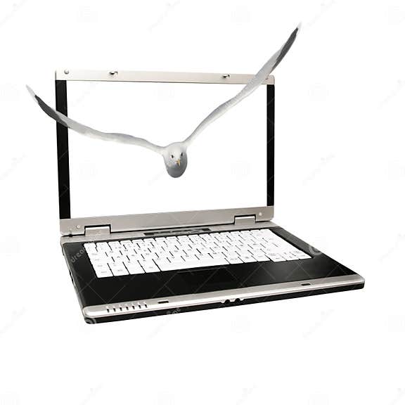 Bird Flying Out of a Laptop Stock Image - Image of colleagues, crew ...