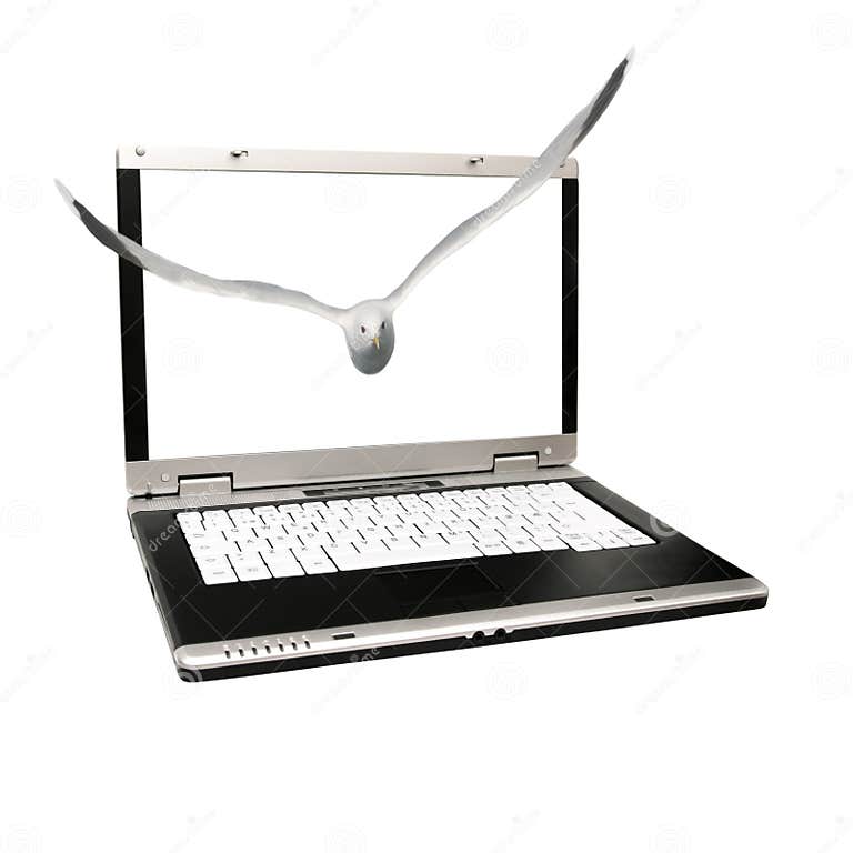 Bird Flying Out of a Laptop Stock Image - Image of colleagues, crew ...