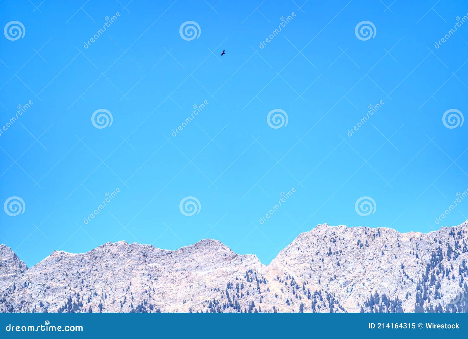 Bird Flying Over the Italian Alps Stock Image - Image of view, alps ...