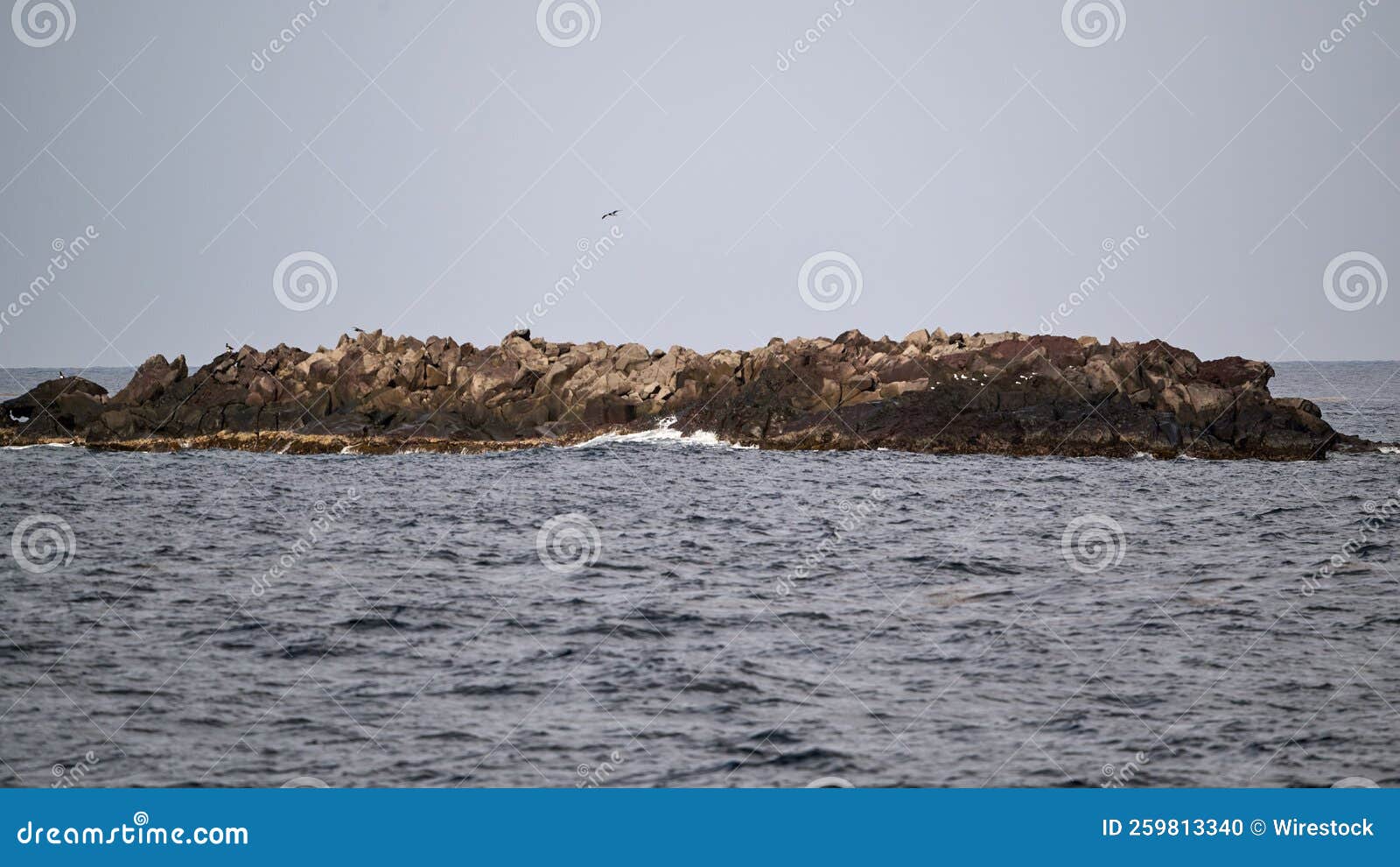 Bird Flying Over a Large Volcanic Rock in the Middle of the Sea Stock ...
