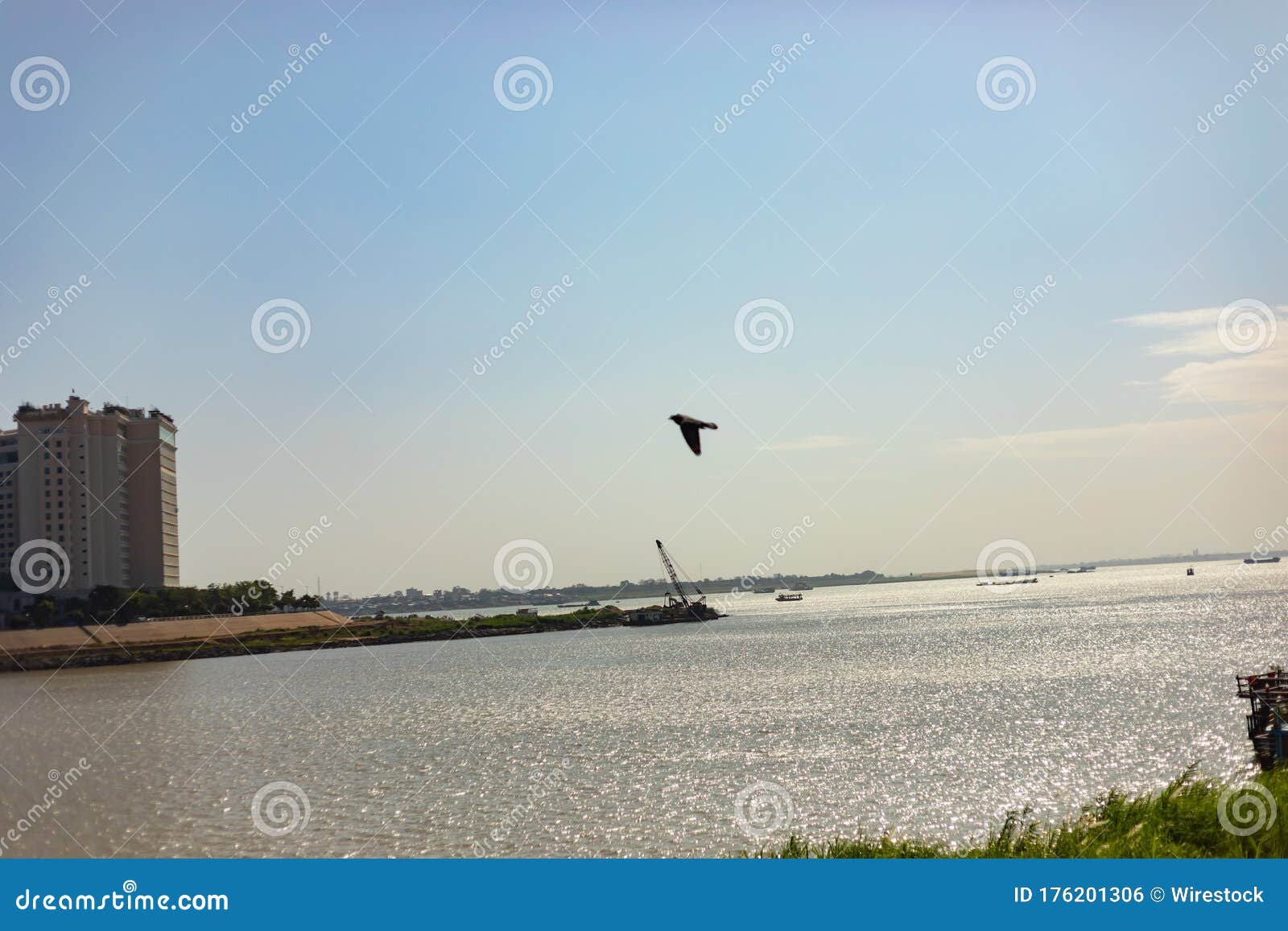 Bird Flying Over the Mekong River in Phnom Penh, Cambodia Stock Photo ...