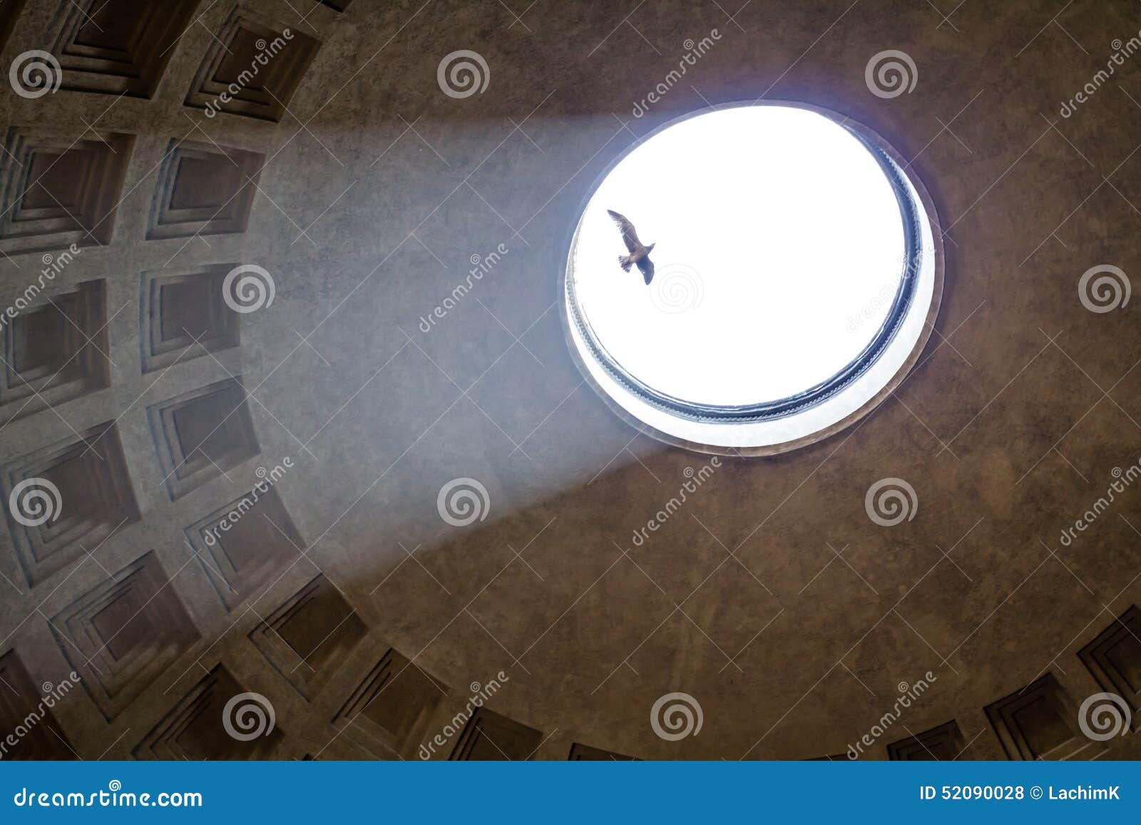Bird Flying in Pantheon stock photo. Image of flying - 52090028