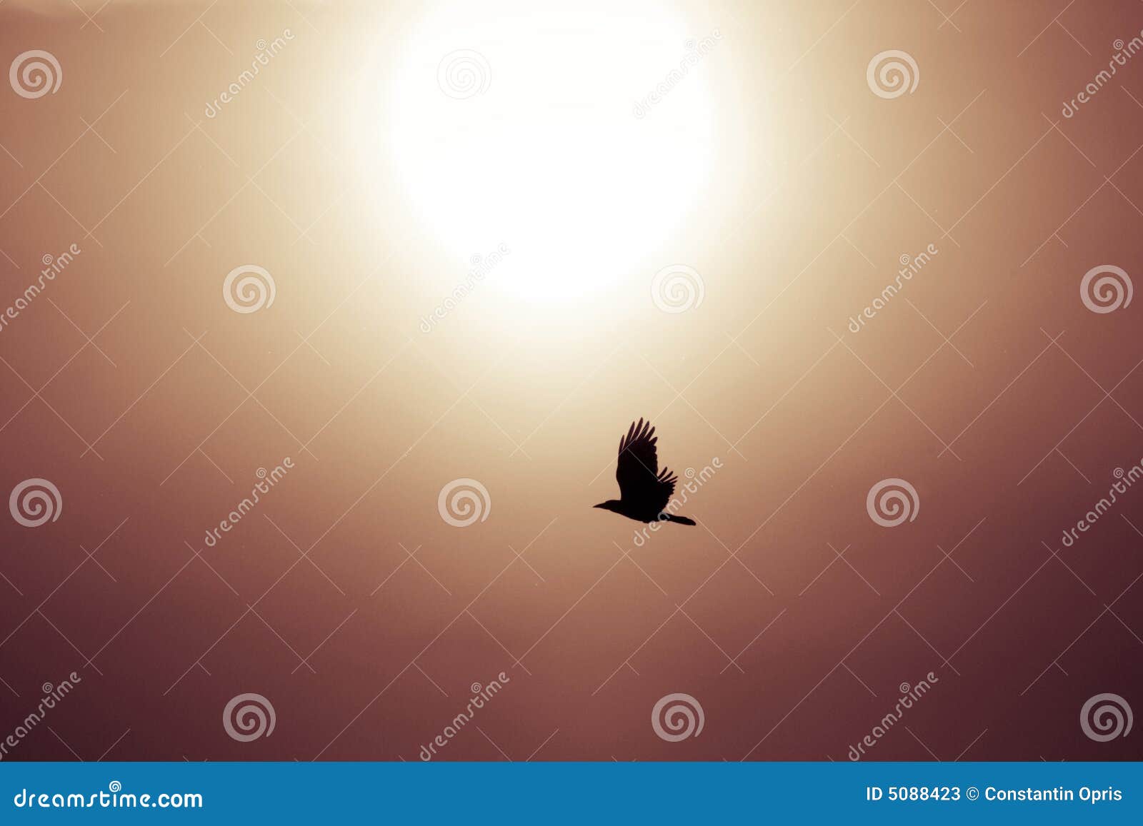 Flying Bird Over Mountains Of Parque Natural De La Sierra Y Los Royalty ...