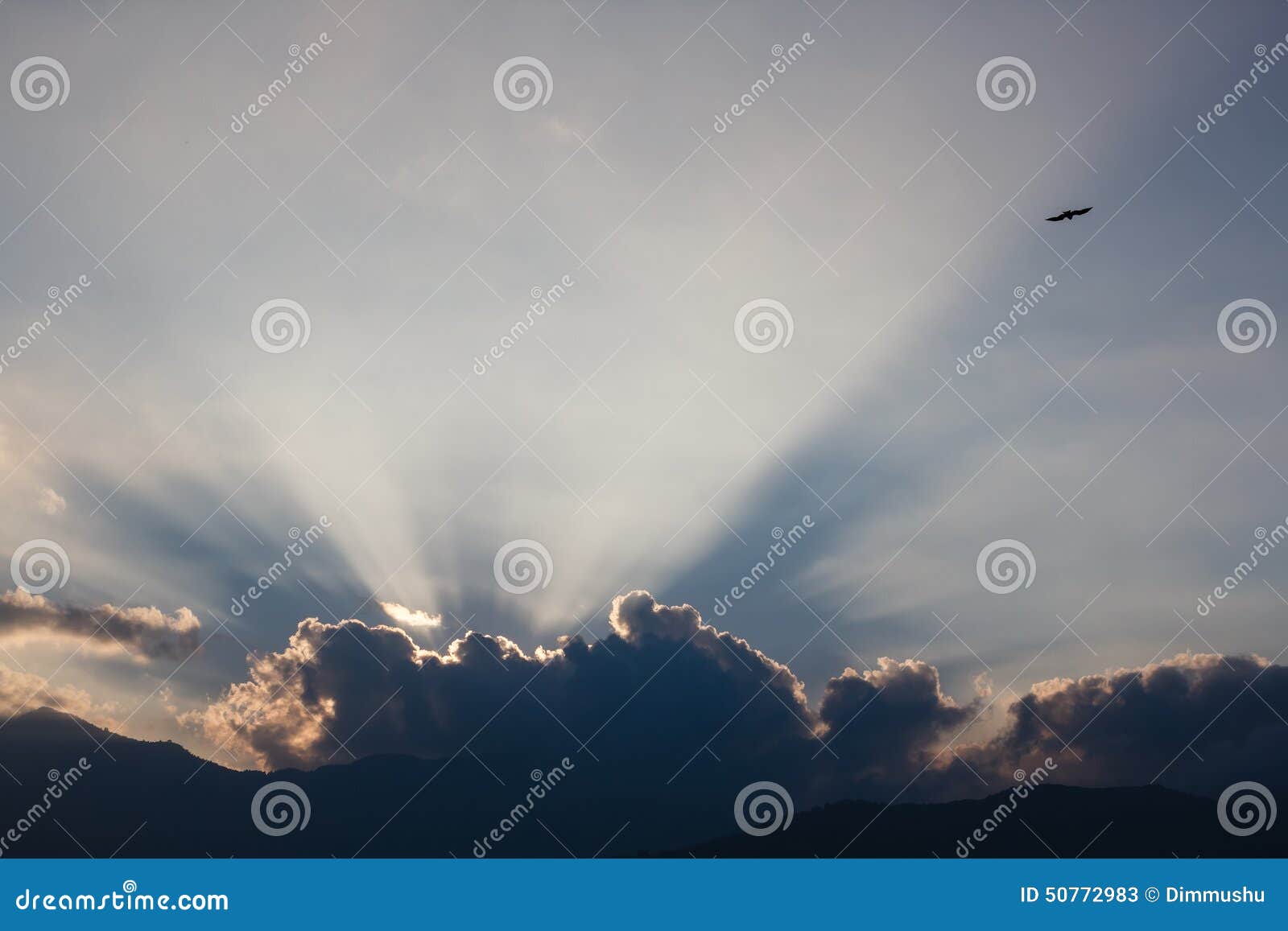 Bird Flying in the Sunset Shining Behind Clouds Stock Image - Image of ...