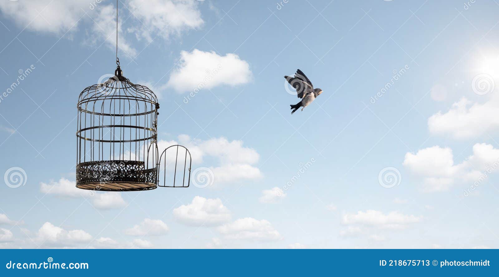 Bird Flying Out Cage Stock Photos - Free & Royalty-Free Stock Photos ...