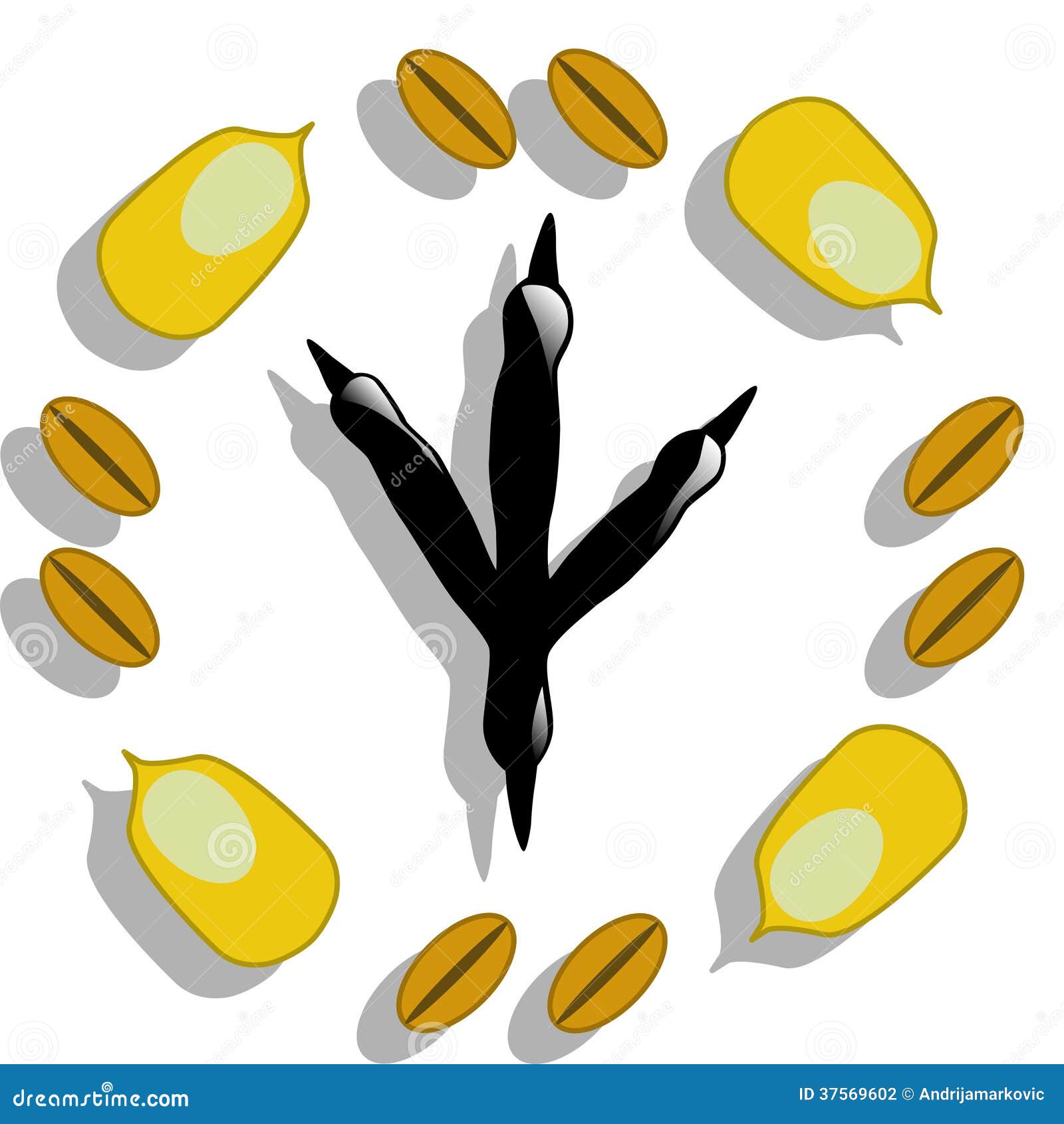 Bird food stock vector. Illustration of cartoon, ecology - 37569602