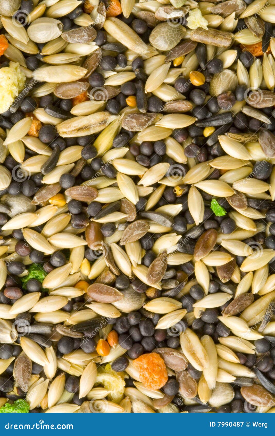 Bird Food stock image. Image of crop, dietary, food, round - 7990487
