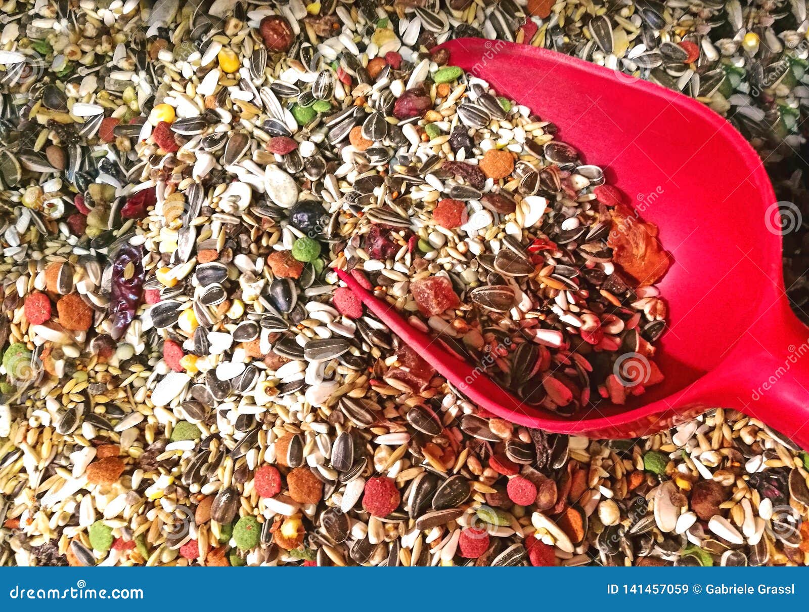 Bird Food Mix with a Red Shovel Stock Image - Image of birdseed, feed ...