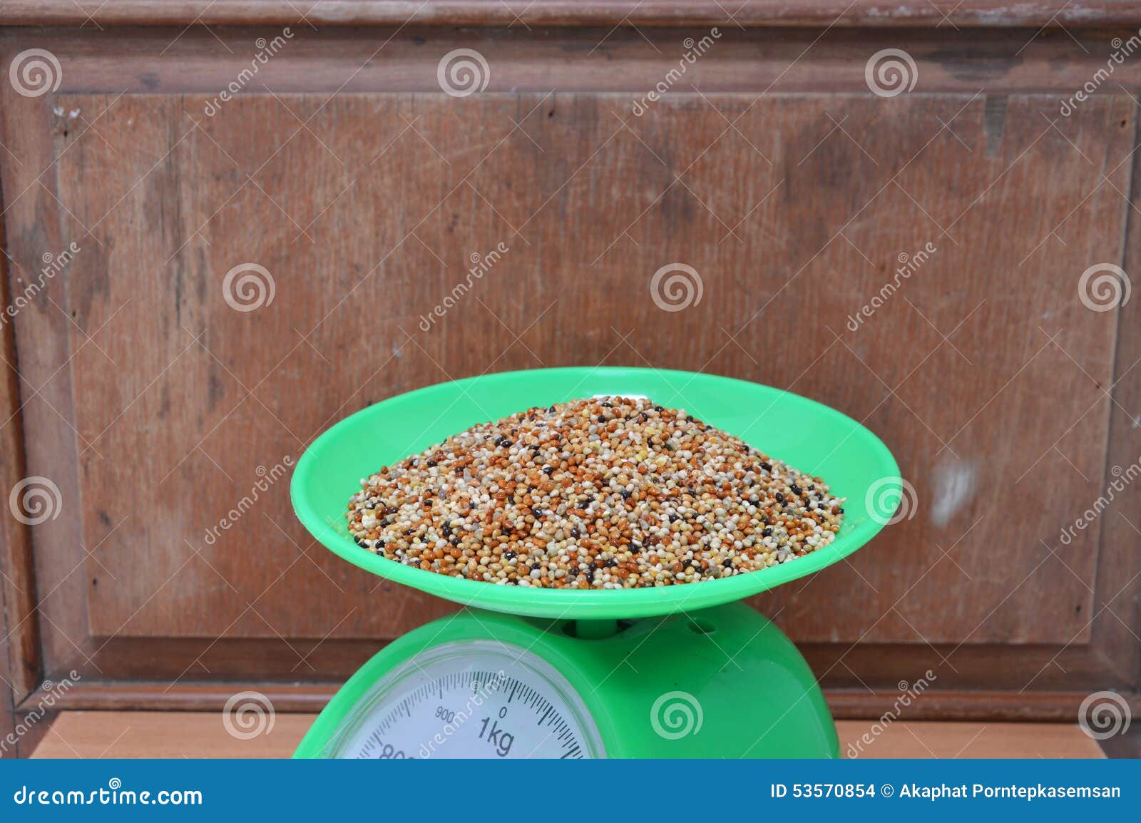 Bird Food on Weighting Scale Stock Photo - Image of weighting, seed ...