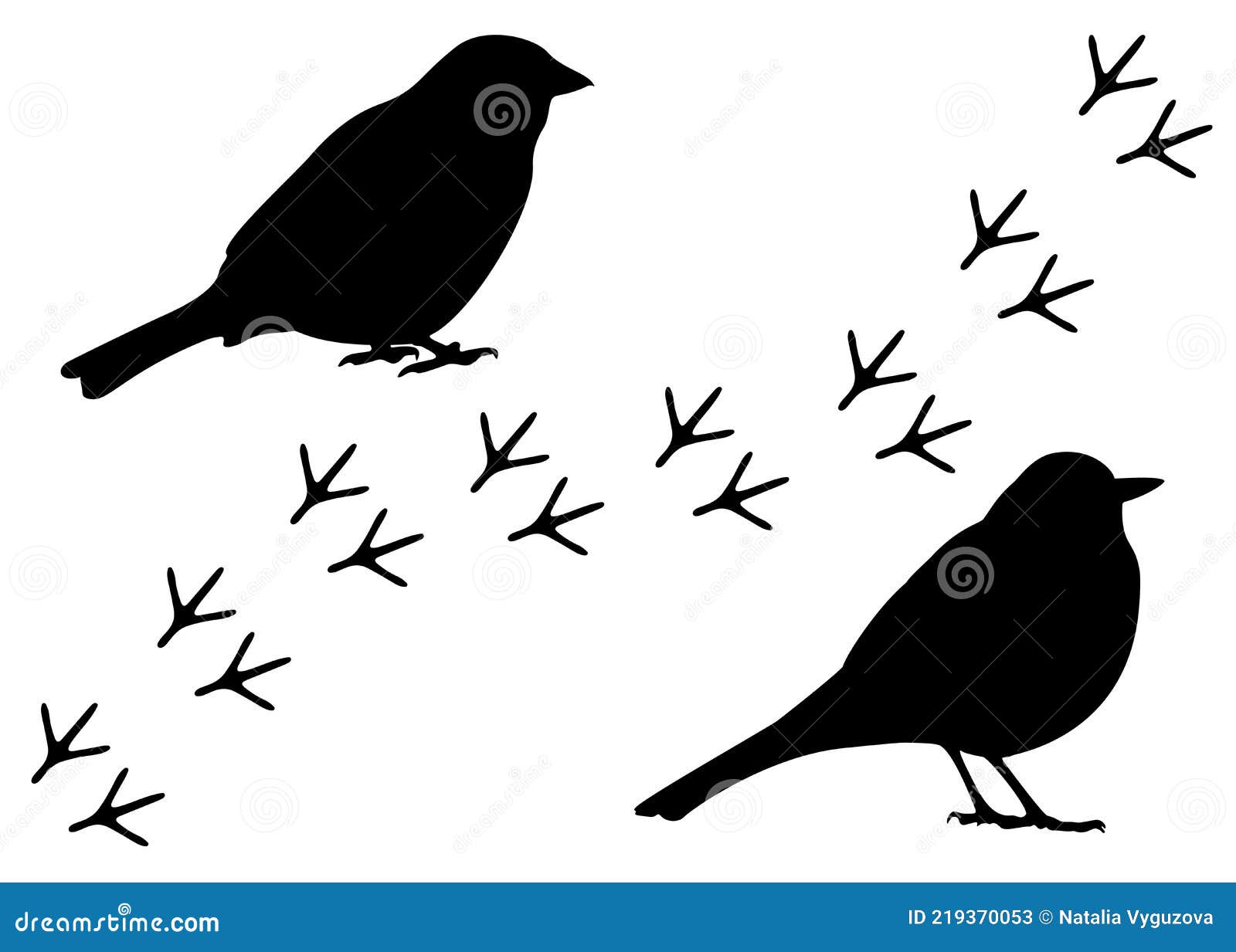 Bird Footprint and Bird in the Set. Stock Vector - Illustration of ...