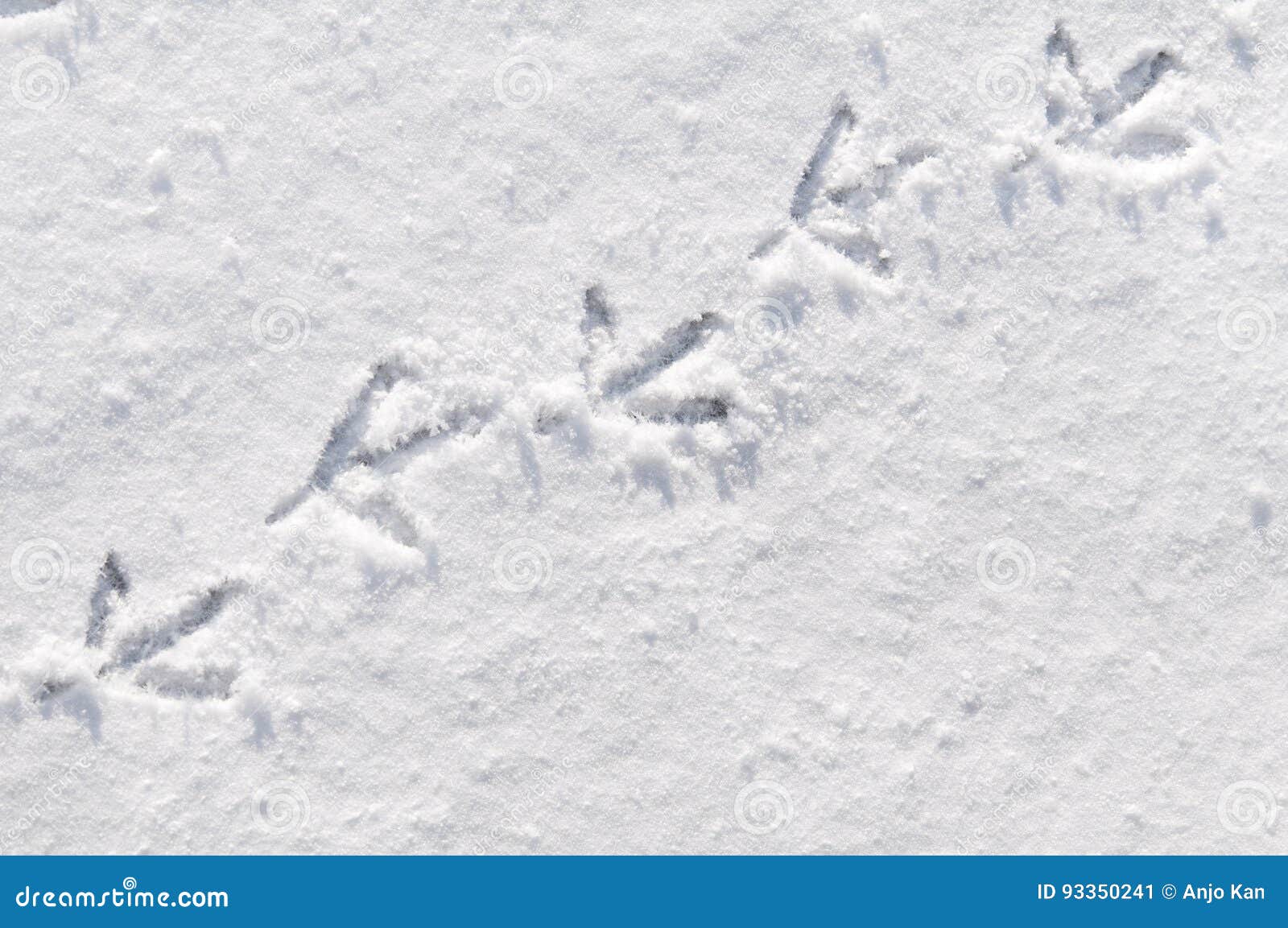 Bird footprints in snow stock image. Image of background - 93350241