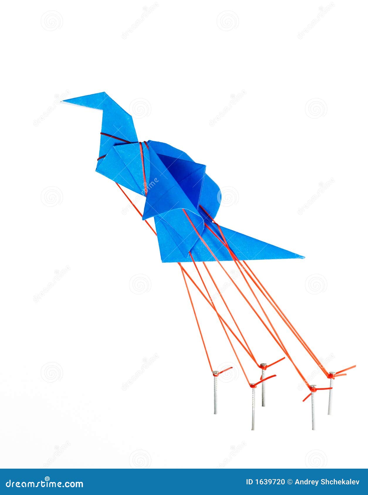 Bird of freedom stock photo. Image of heaven, liberty - 1639720