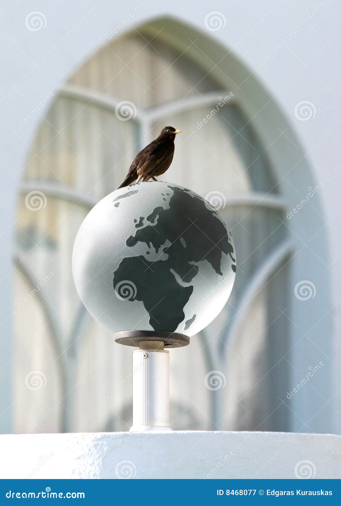Bird on glass earth stock image. Image of light, earth - 8468077