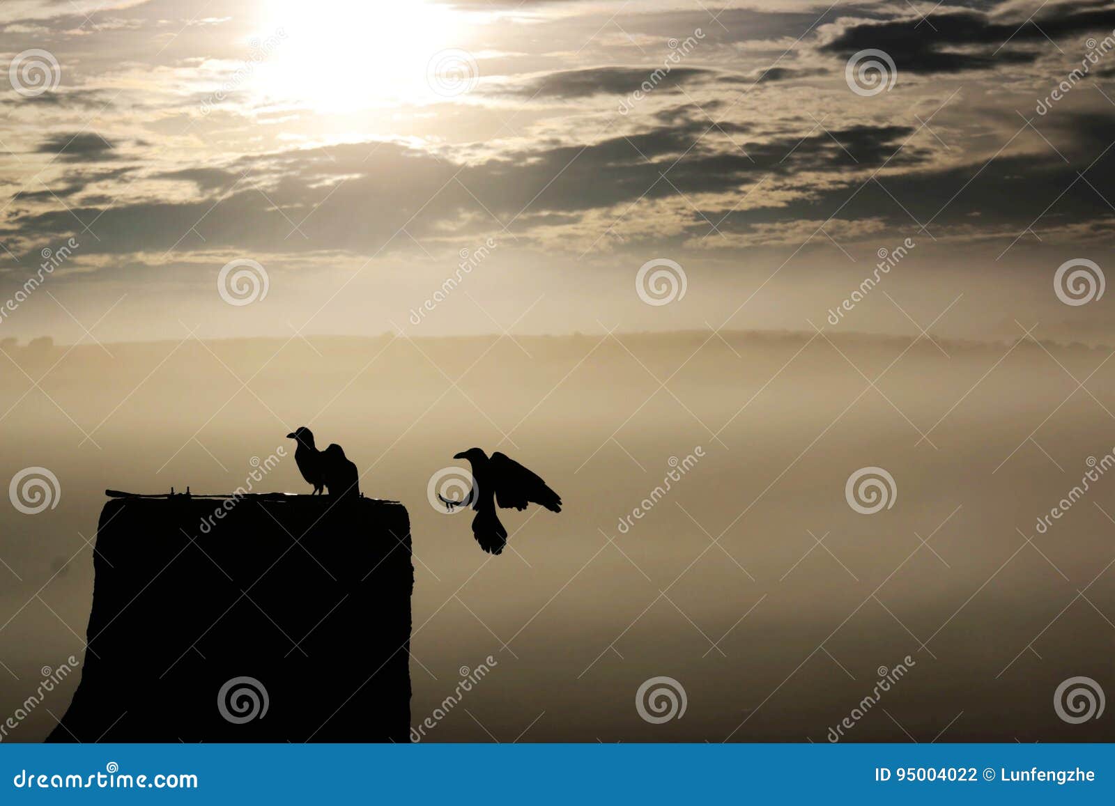Bird is Going Home in Sunset Stock Photo - Image of beautiful, hazy ...