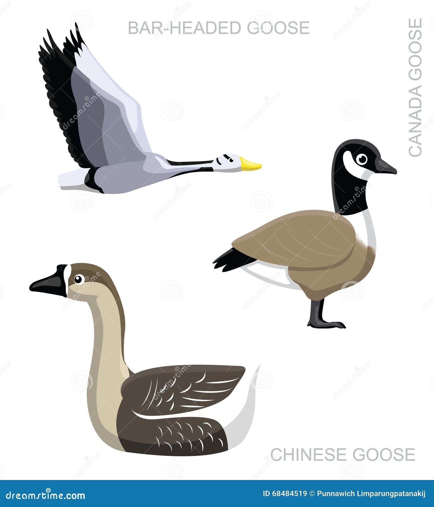Bird Goose Set Cartoon Vector Stock Vector - Illustration of headed ...