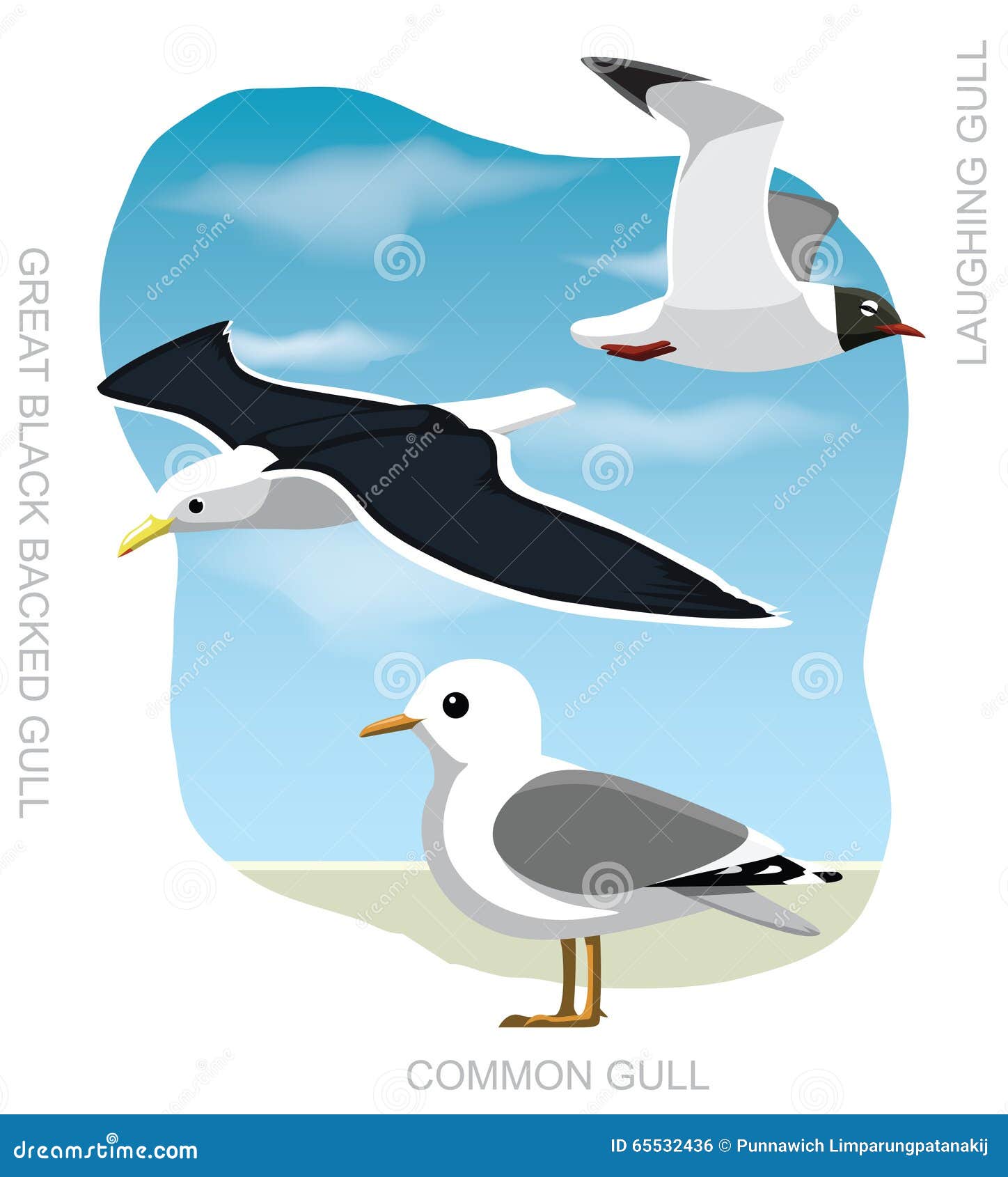 Bird Gull Set Cartoon Vector Illustration Stock Vector - Illustration ...