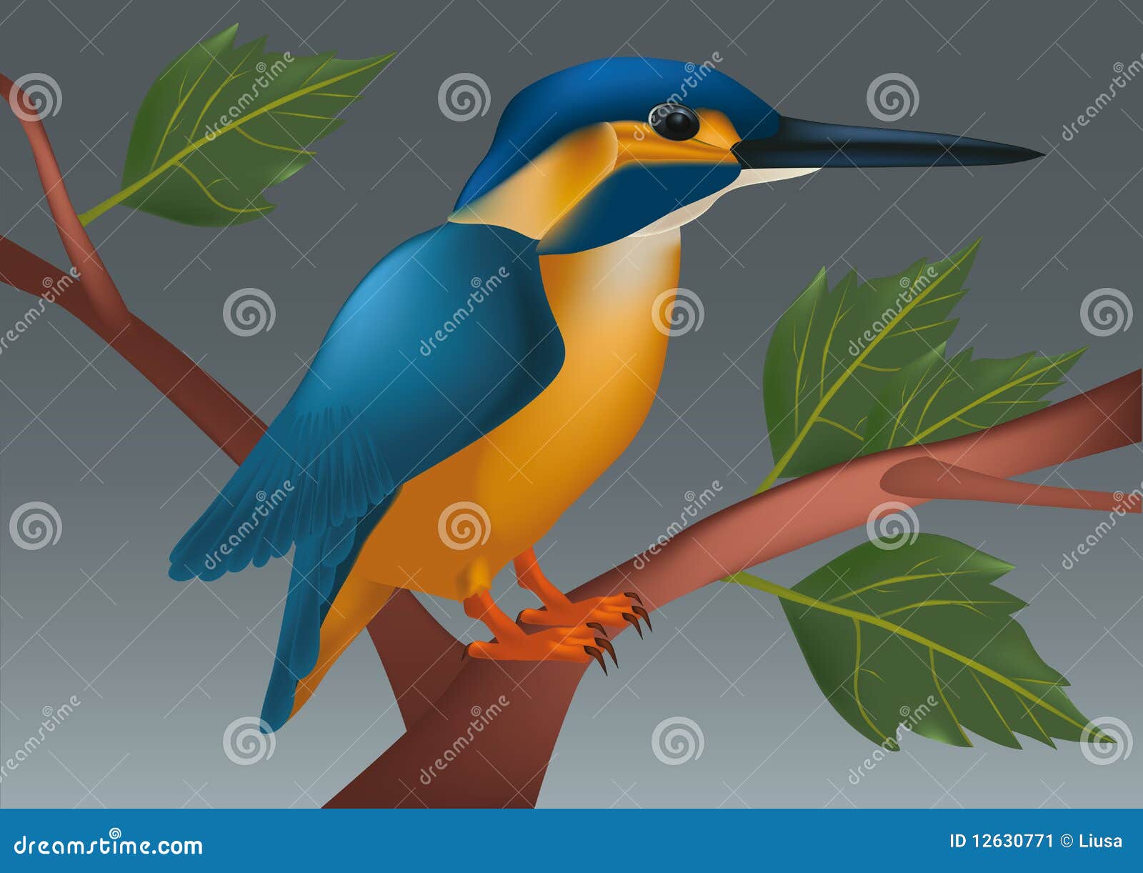 Bird halcyon stock vector. Illustration of flying, symbols - 12630771